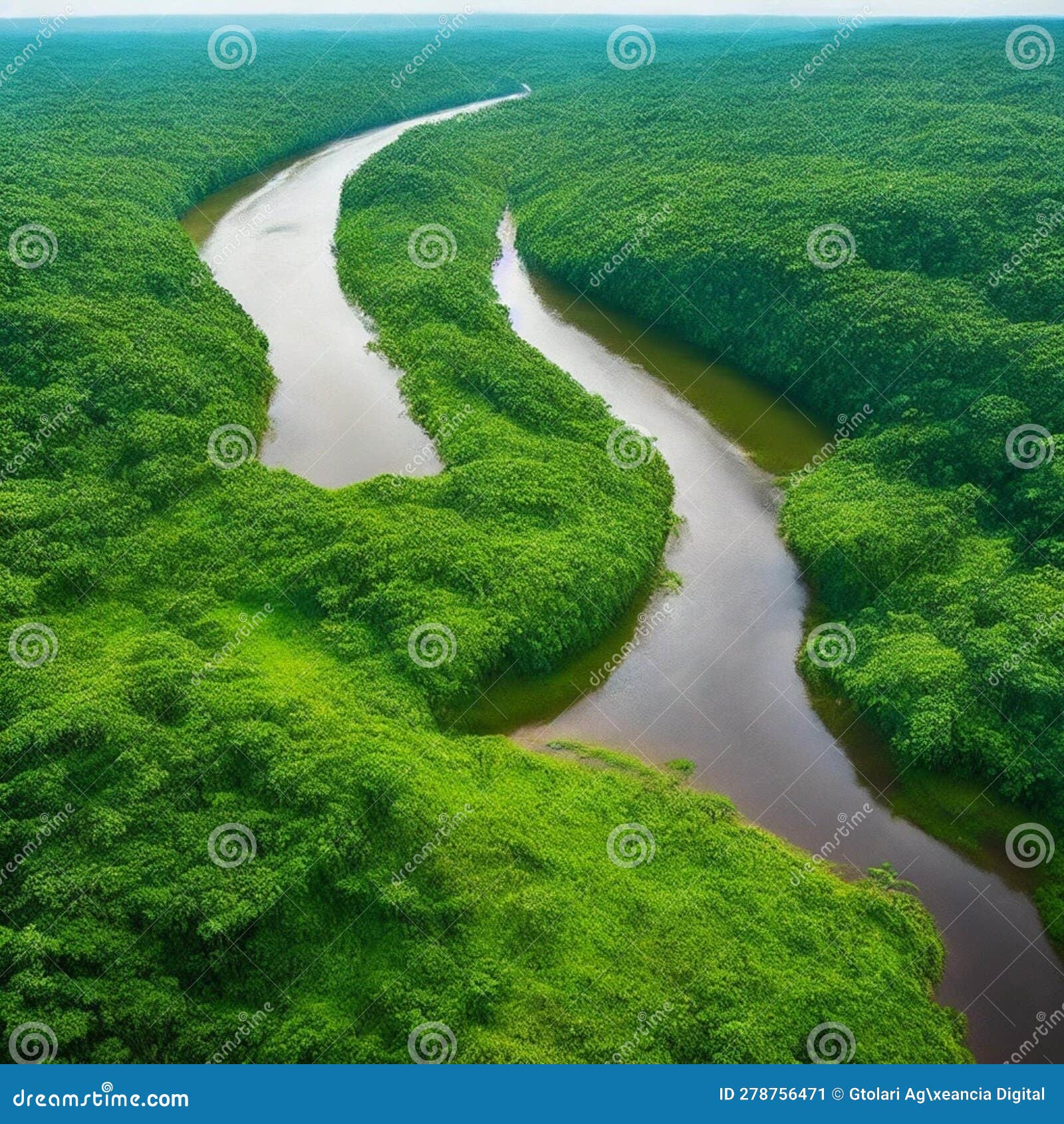 Amazon Rainforest. Aerial View of the Amazon Rainforest with a River ...