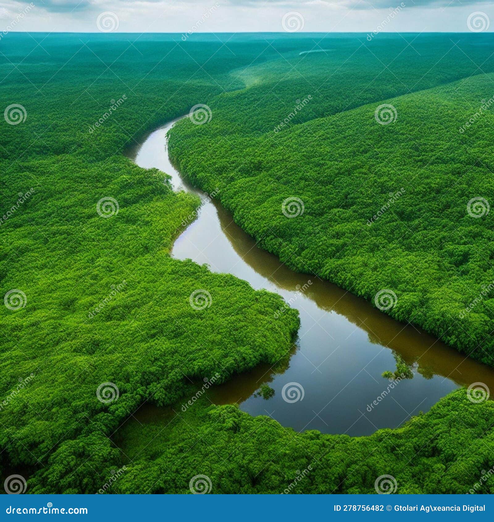 Amazon Rainforest. Aerial View of the Amazon Rainforest with a River ...