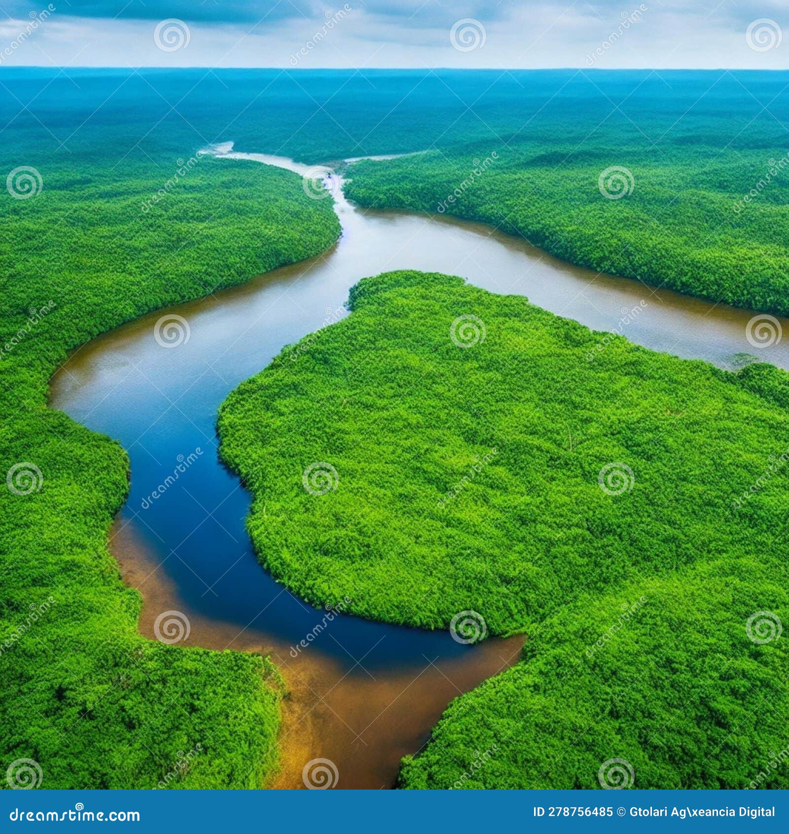 Amazon Rainforest. Aerial View of the Amazon Rainforest with a River ...
