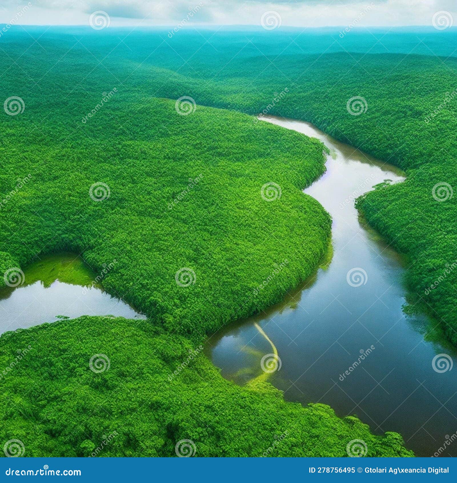 Amazon Rainforest. Aerial View of the Amazon Rainforest with a River ...