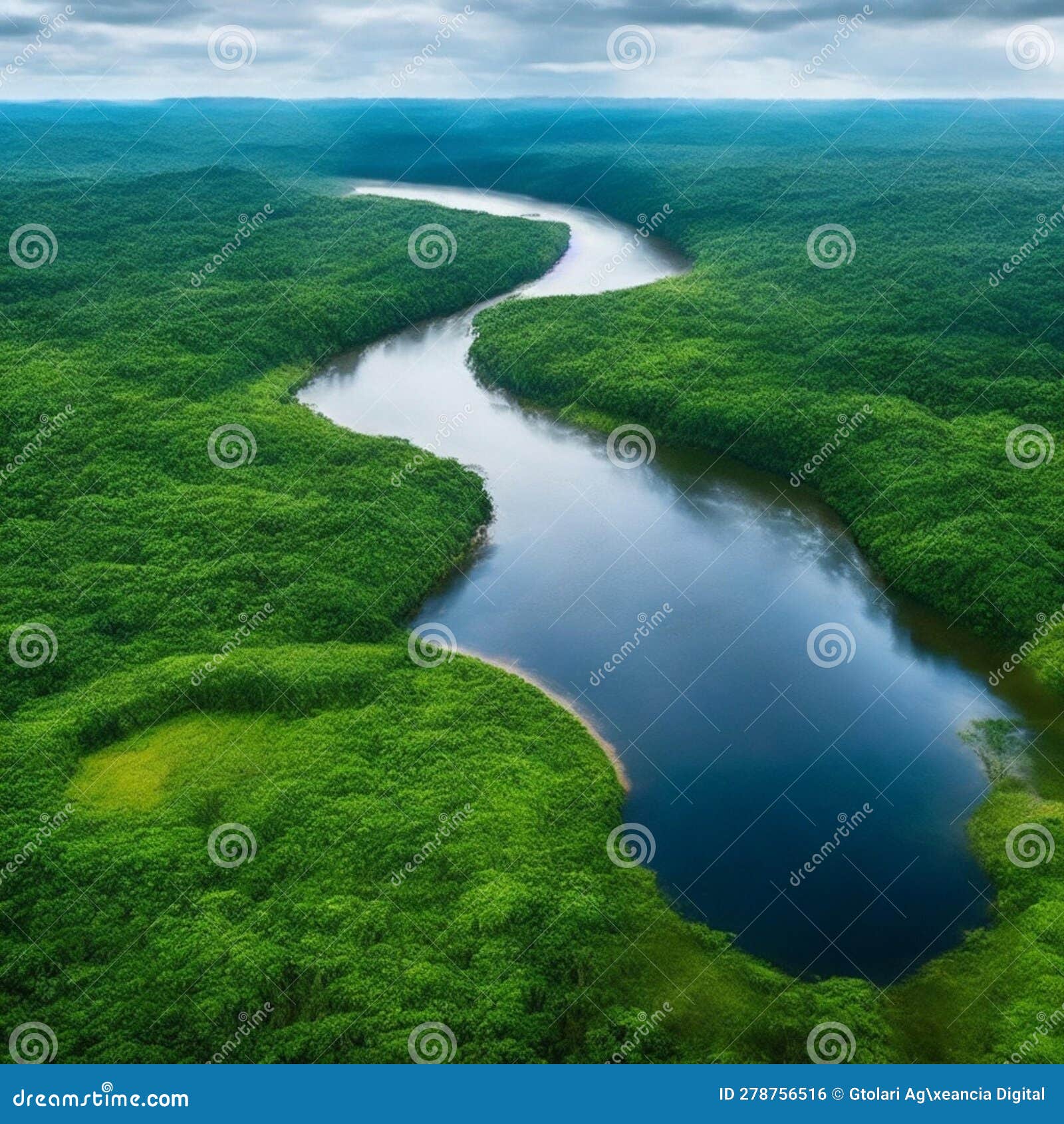Amazon Rainforest. Aerial View of the Amazon Rainforest with a River ...