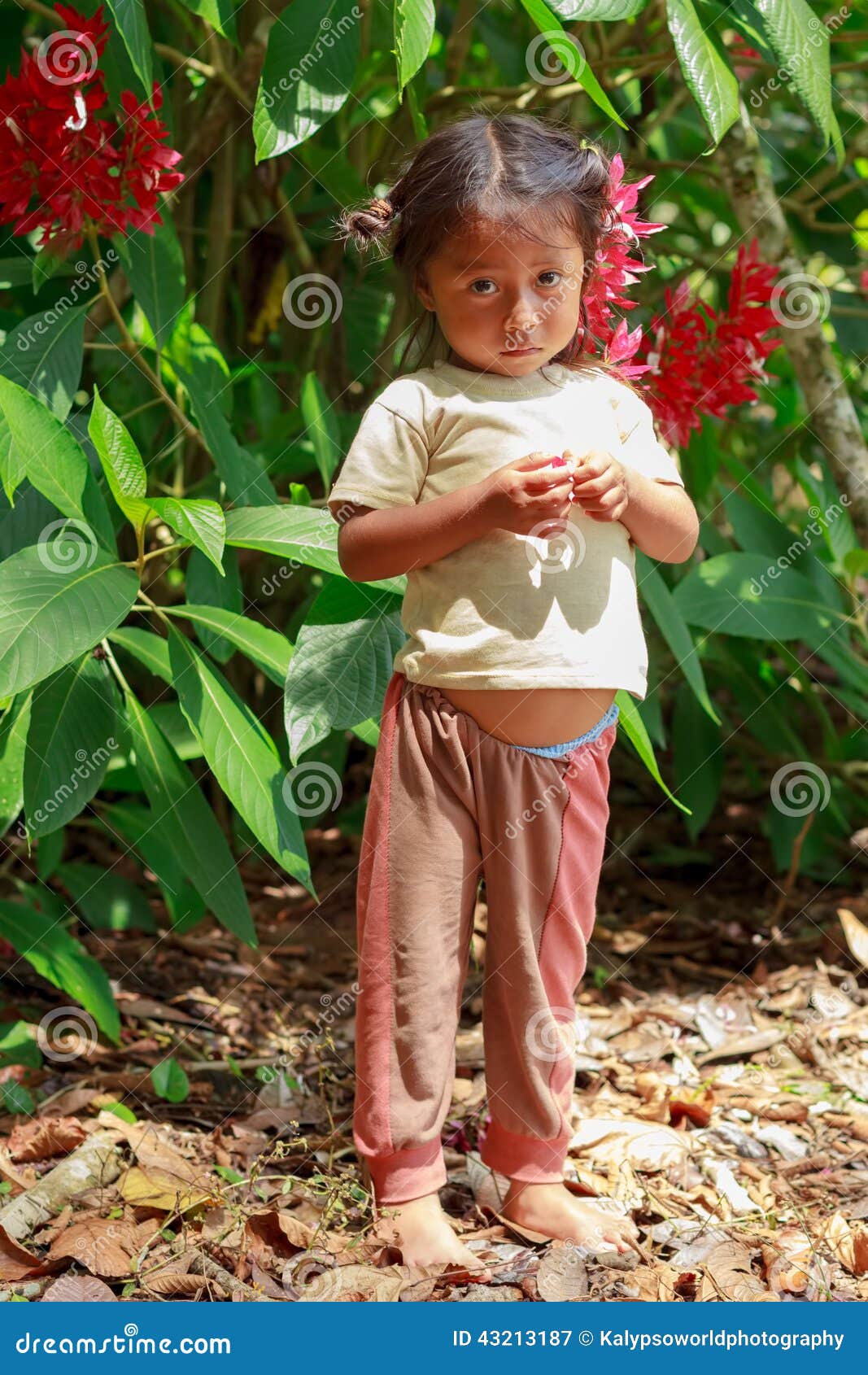 Indigenous Girl Looking Scared Straight To the Camera Editorial ...