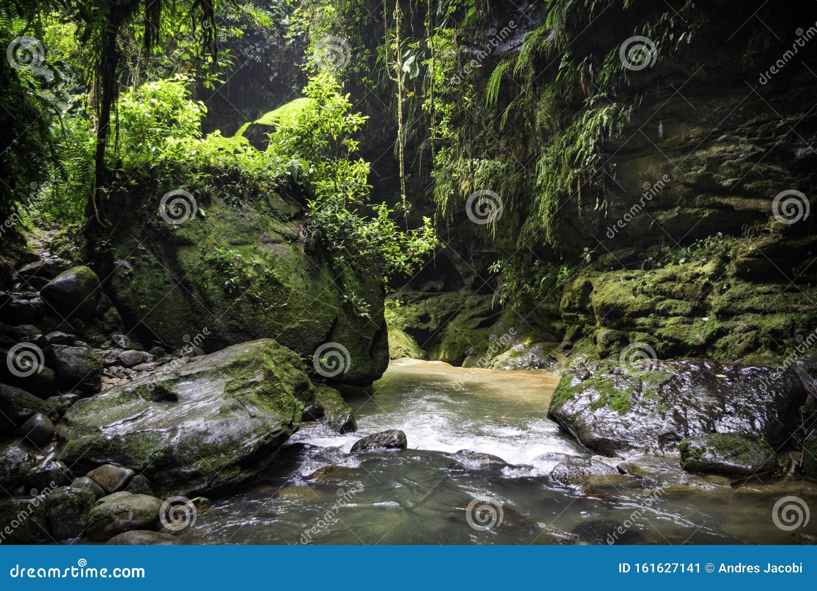 Amazonian Landscape Surrounded by Vegetation and Large Rocks Stock ...