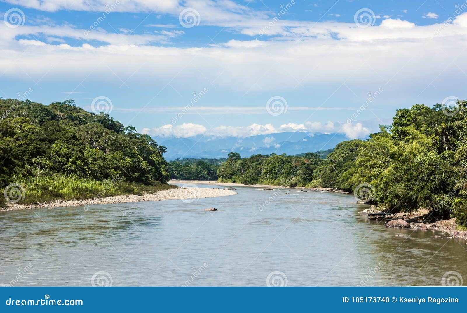Amazonian Rainforest. Napo River. Ecuador Stock Photo - Image of plant ...