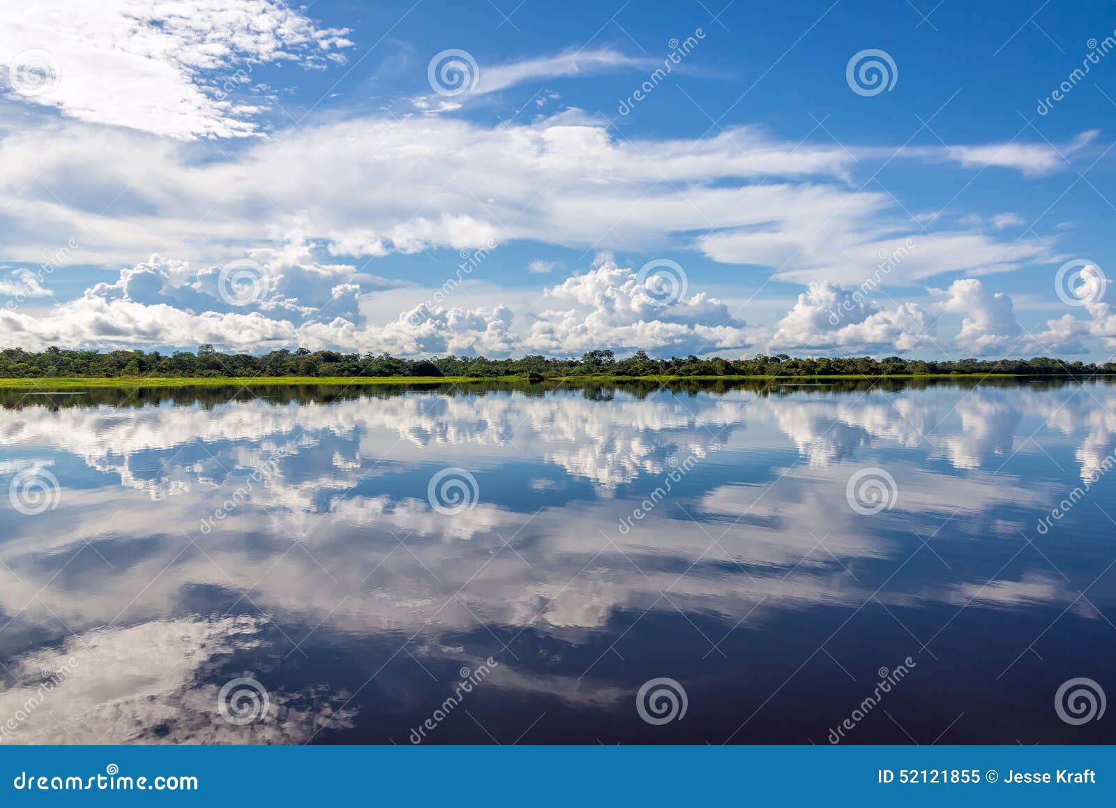 Amazonian Reflection stock image. Image of america, forest - 52121855