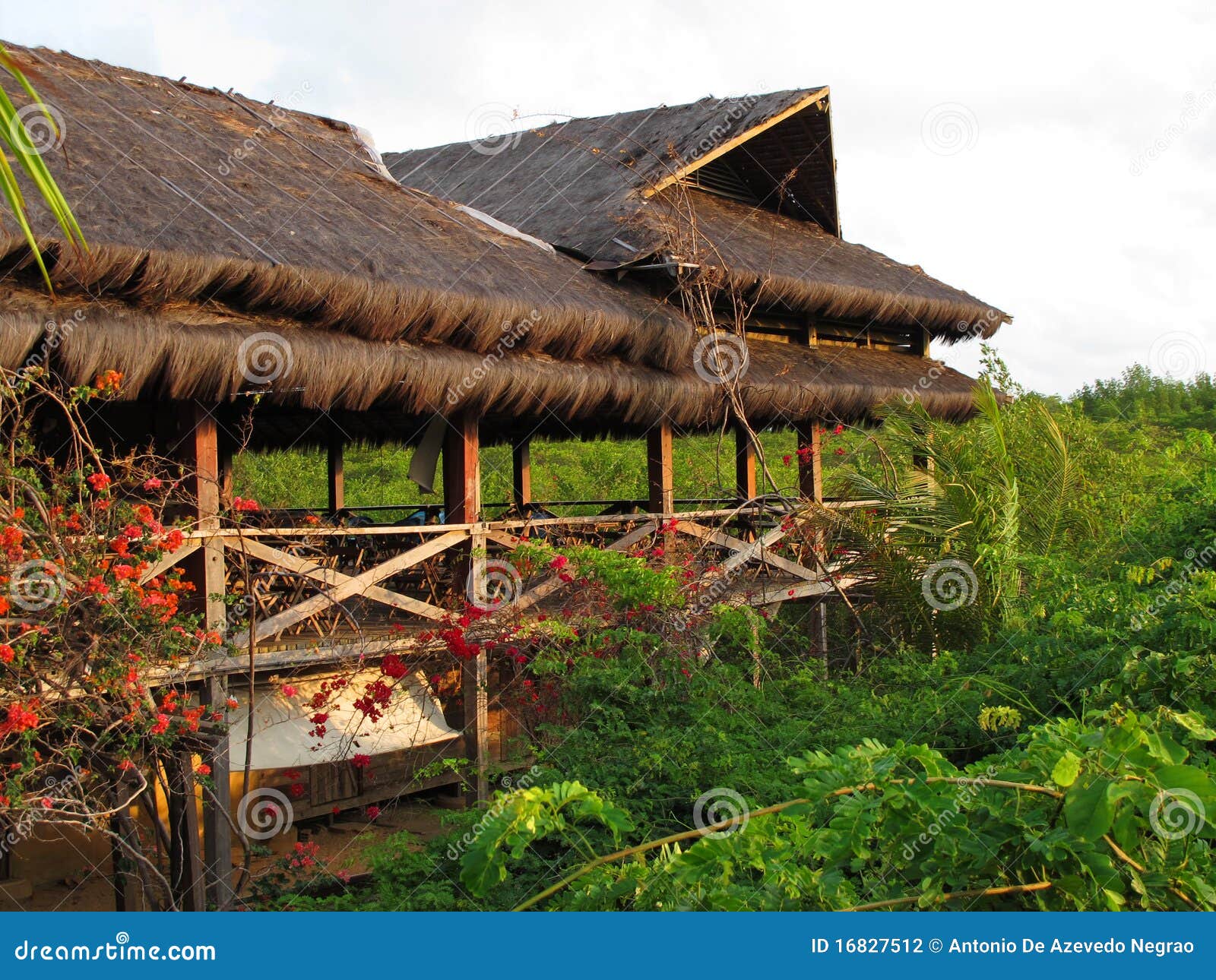 Amazonian restaurant stock photo. Image of shore, natural - 16827512