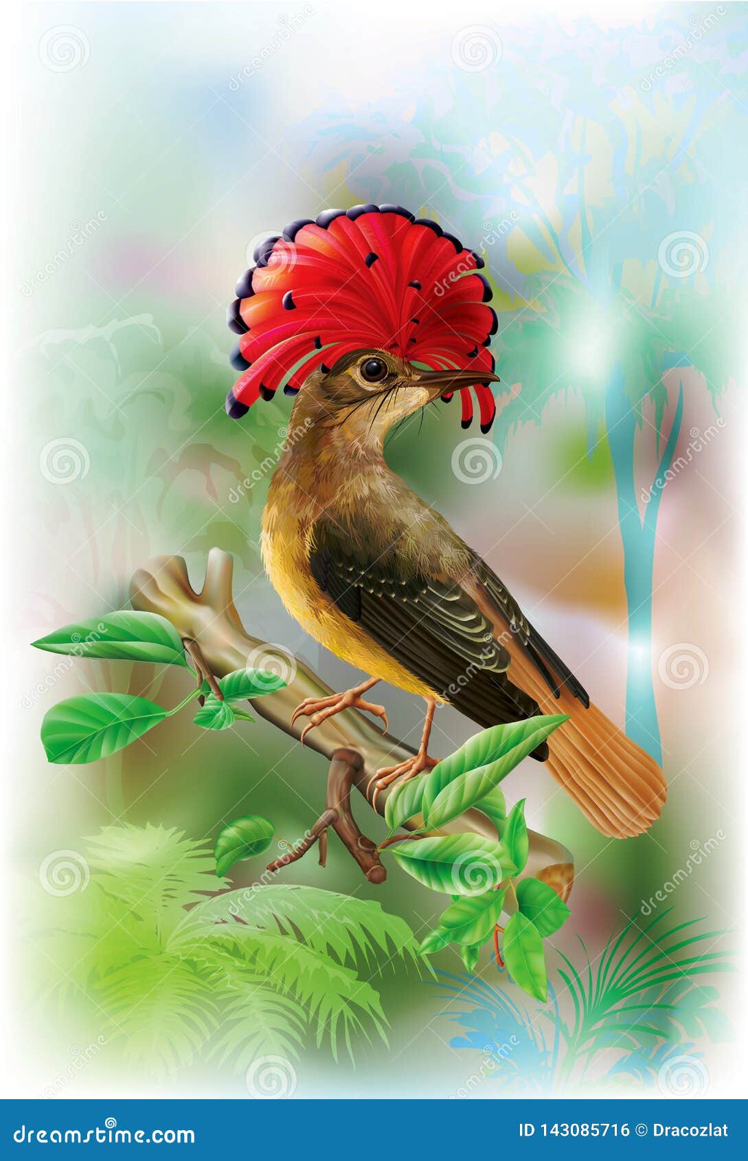 Amazonian Royal Flycatcher on a Tropical Background Stock Vector ...