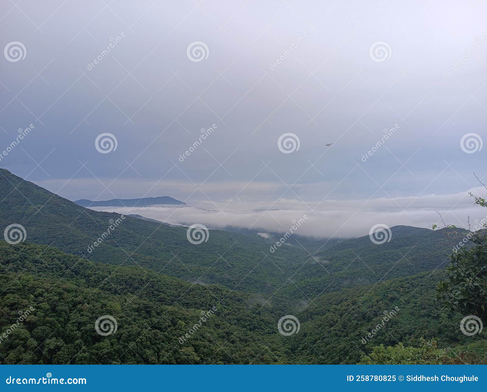 Amba GhatÂ is a Mountain Pass Stock Image - Image of tree, horizon ...