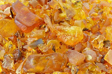 Amber stock image. Image of fossils, yellow, pile, inclusions - 28453369