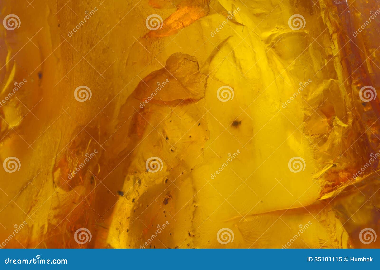 Amber Background Royalty-Free Stock Photography | CartoonDealer.com ...