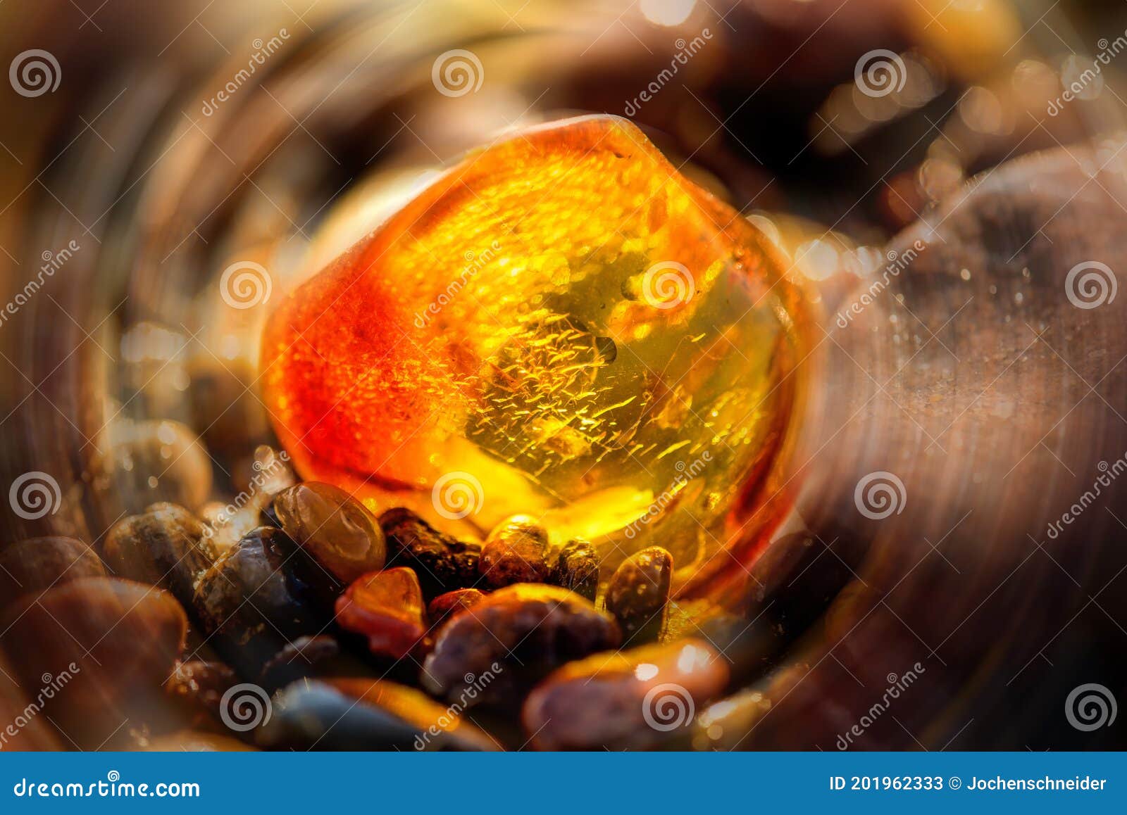 Amber on a Beach of the Baltic Sea Stock Image - Image of geology ...