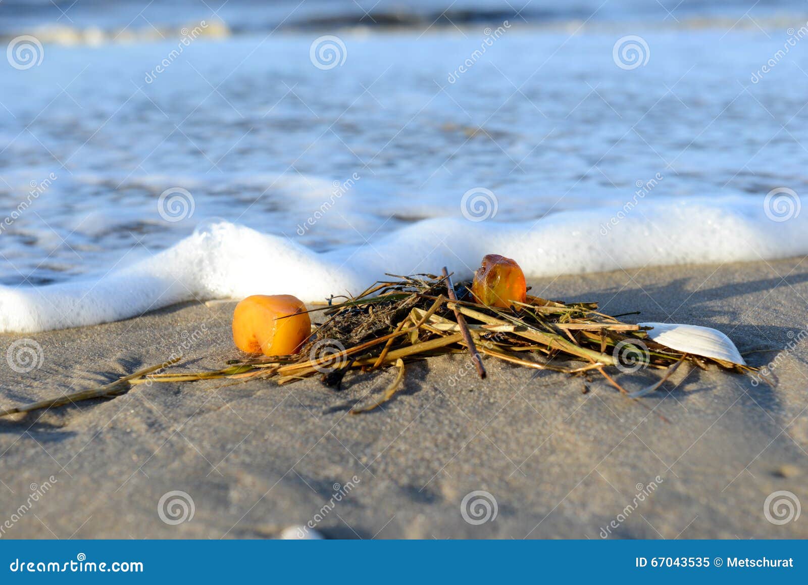 Amber on the beach stock image. Image of sand, cuxhaven - 67043535