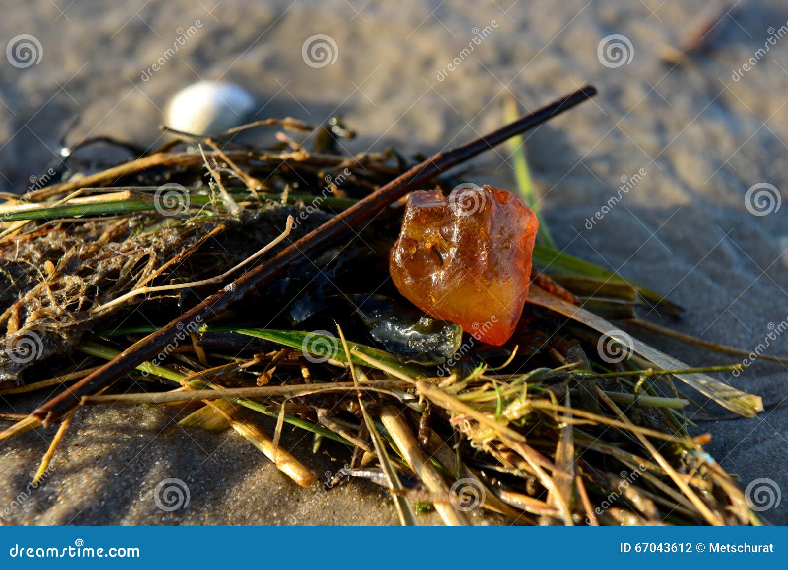 Amber on the beach stock photo. Image of sand, waves - 67043612