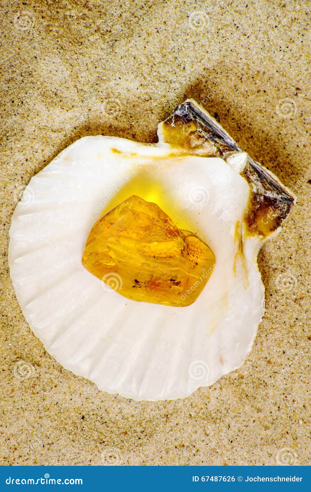 Amber with embedded insect stock photo. Image of yellow - 67487626