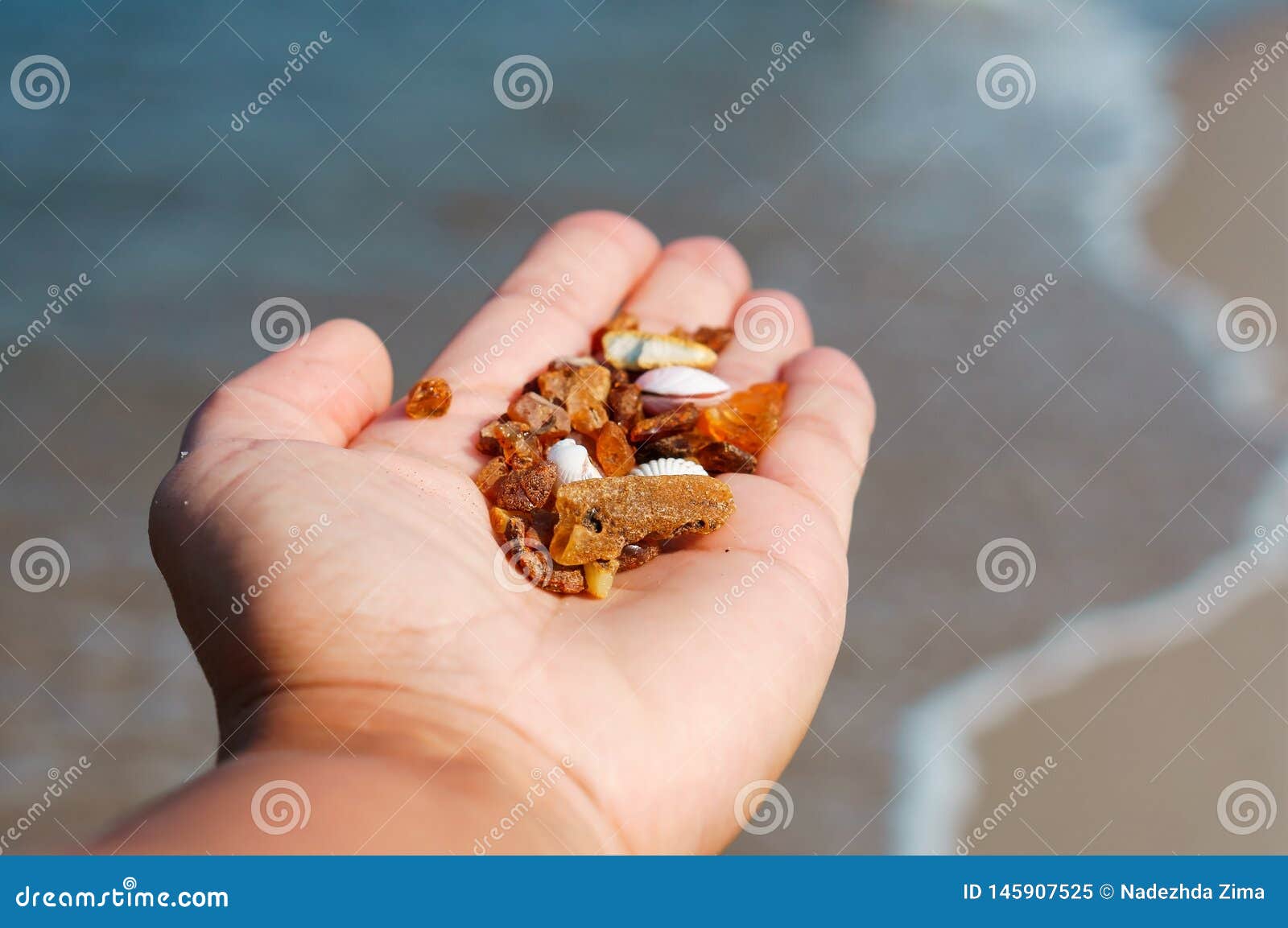 Amber Gemston, Small Stones of Amber in the Palm of Your Hand, Amber ...