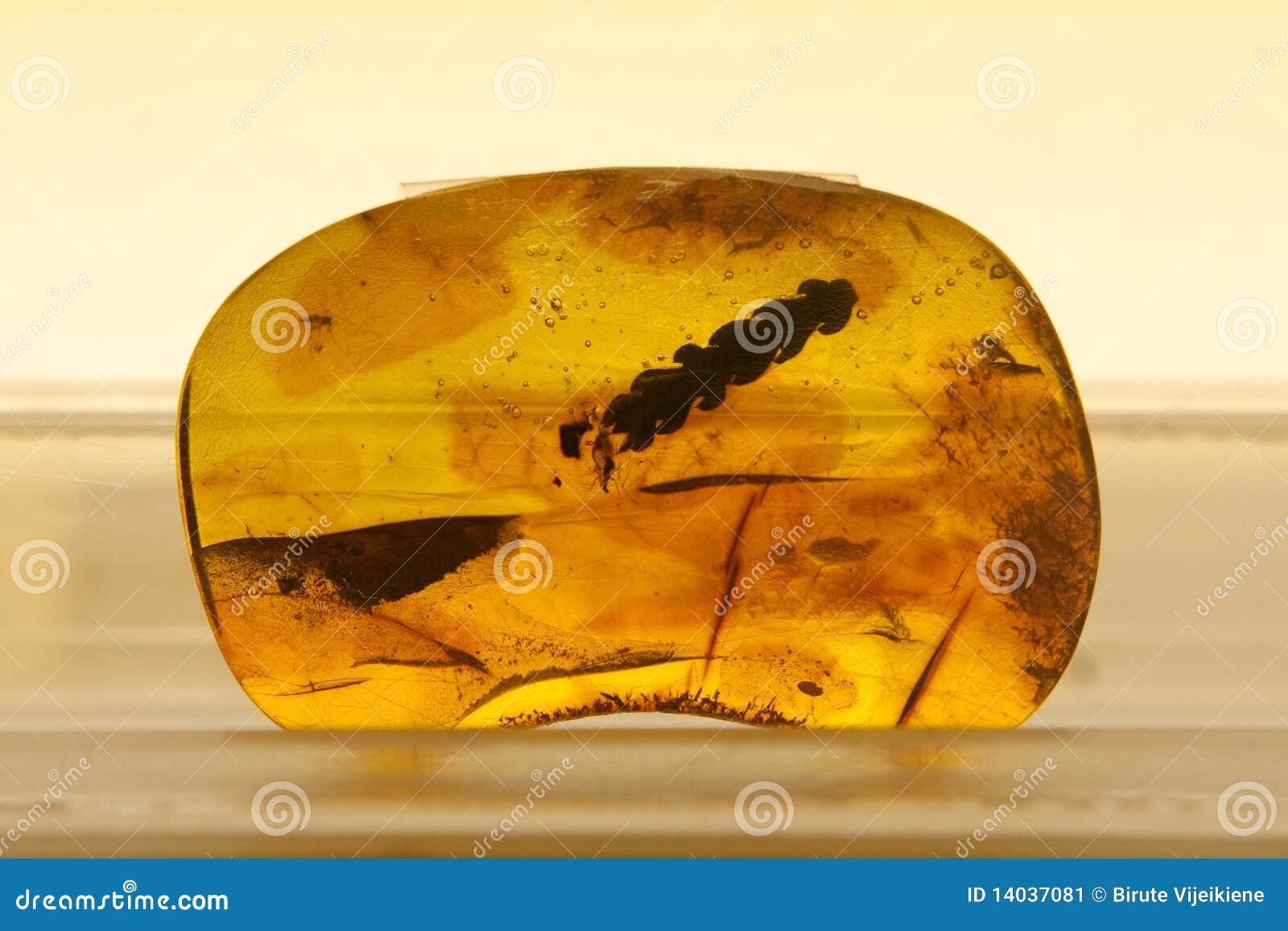 Amber with inclusion stock image. Image of amber, gemstone - 14037081