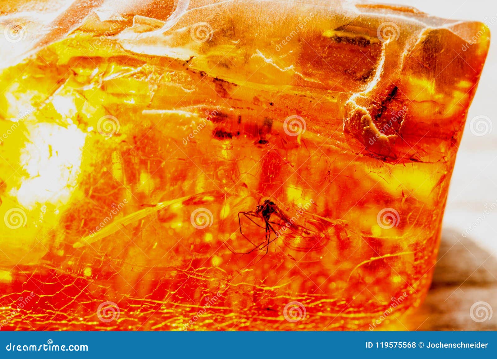 Amber with inclusions stock photo. Image of amber, gemstone - 119575568