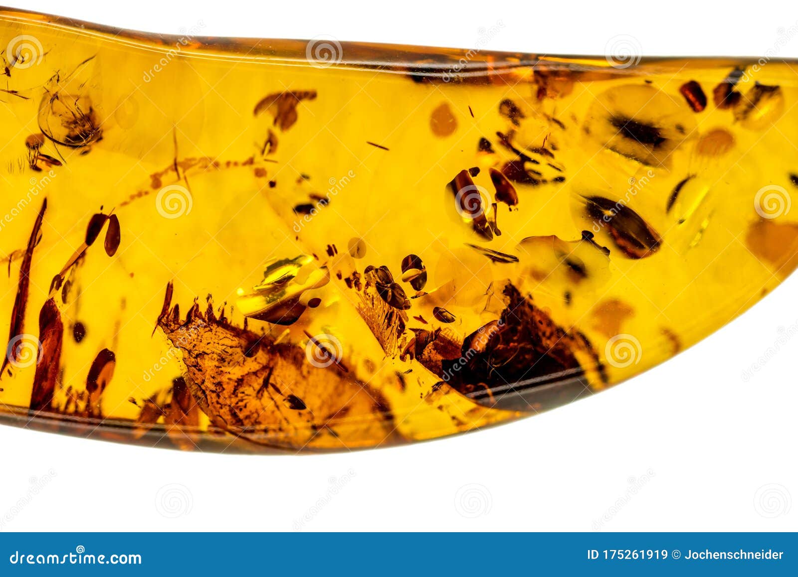 Amber with Inclusions in a Macro Cut Out Stock Image - Image of ...