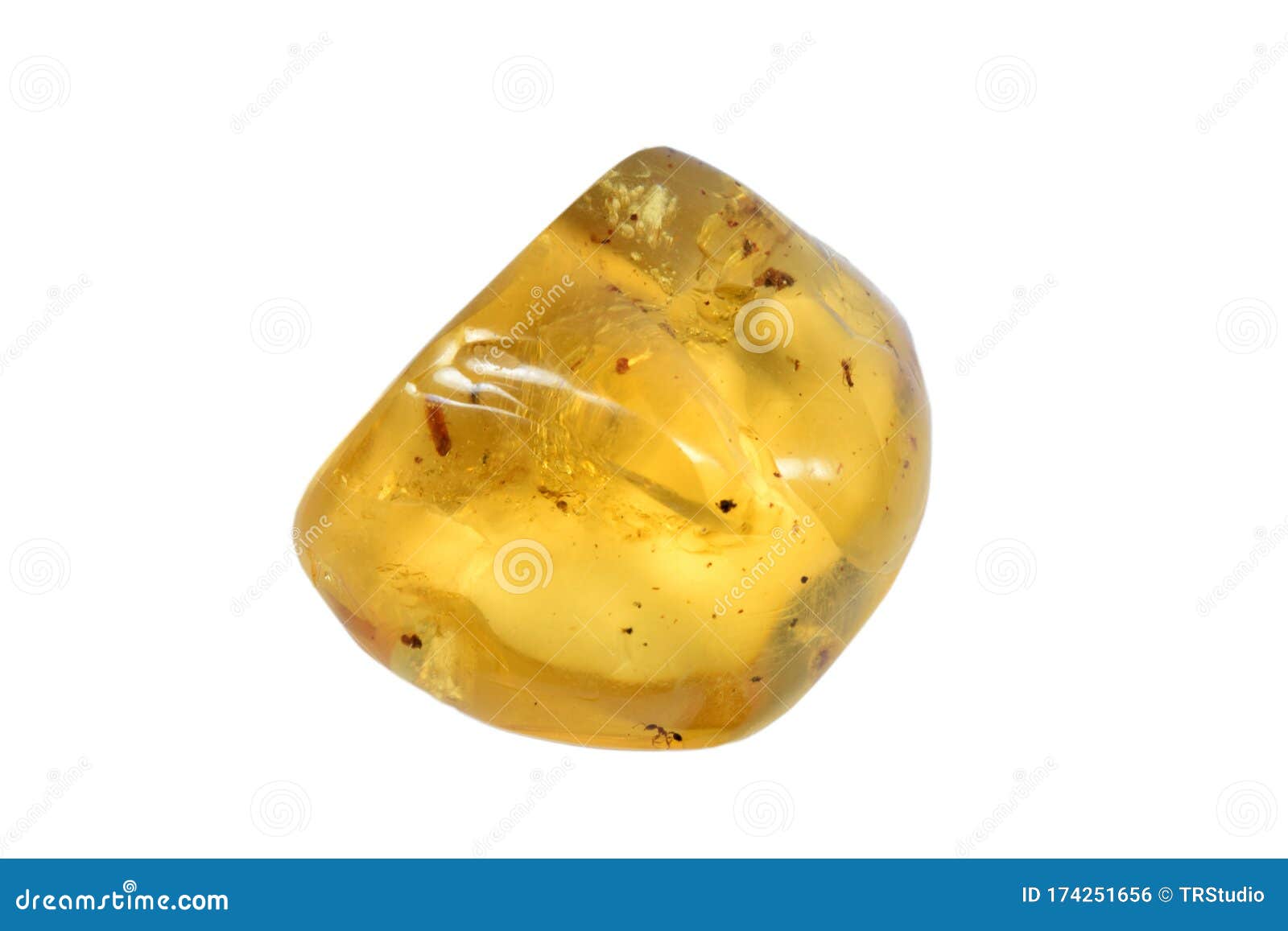 Amber with Insects stock photo. Image of amber, crystal - 174251656