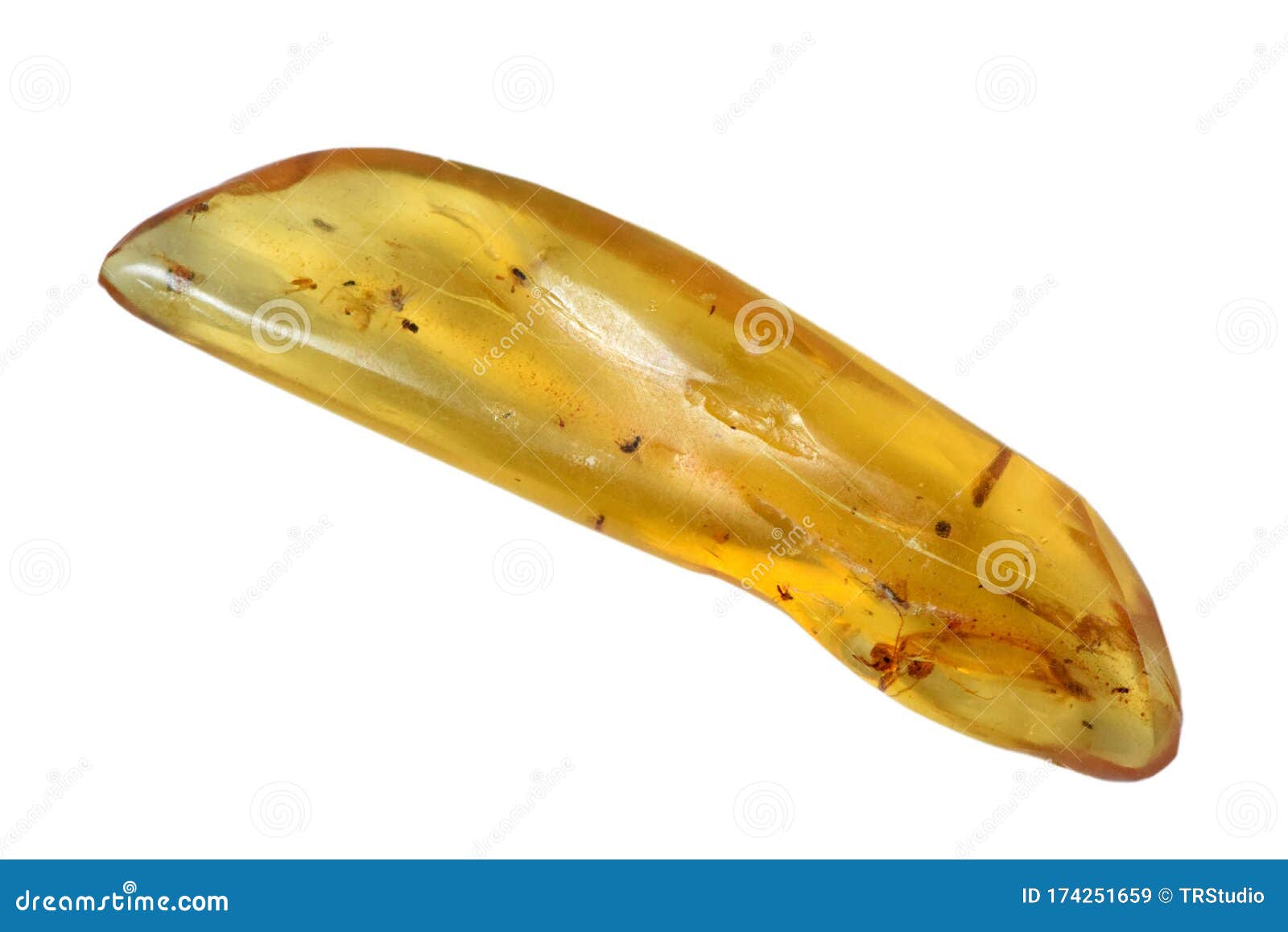 Amber with Insects stock image. Image of jewel, geology - 174251659
