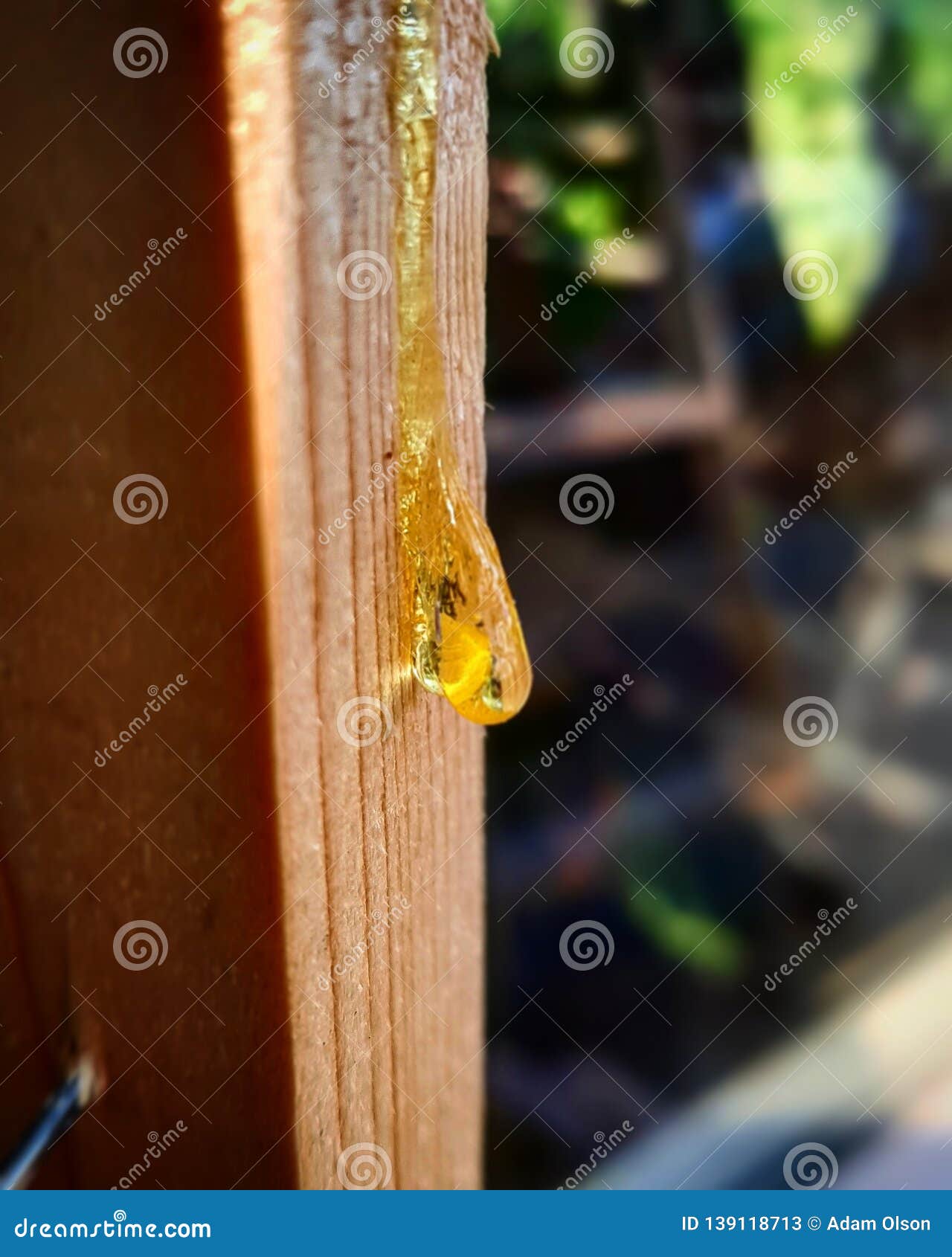 Amber in the making stock image. Image of amber, making - 139118713