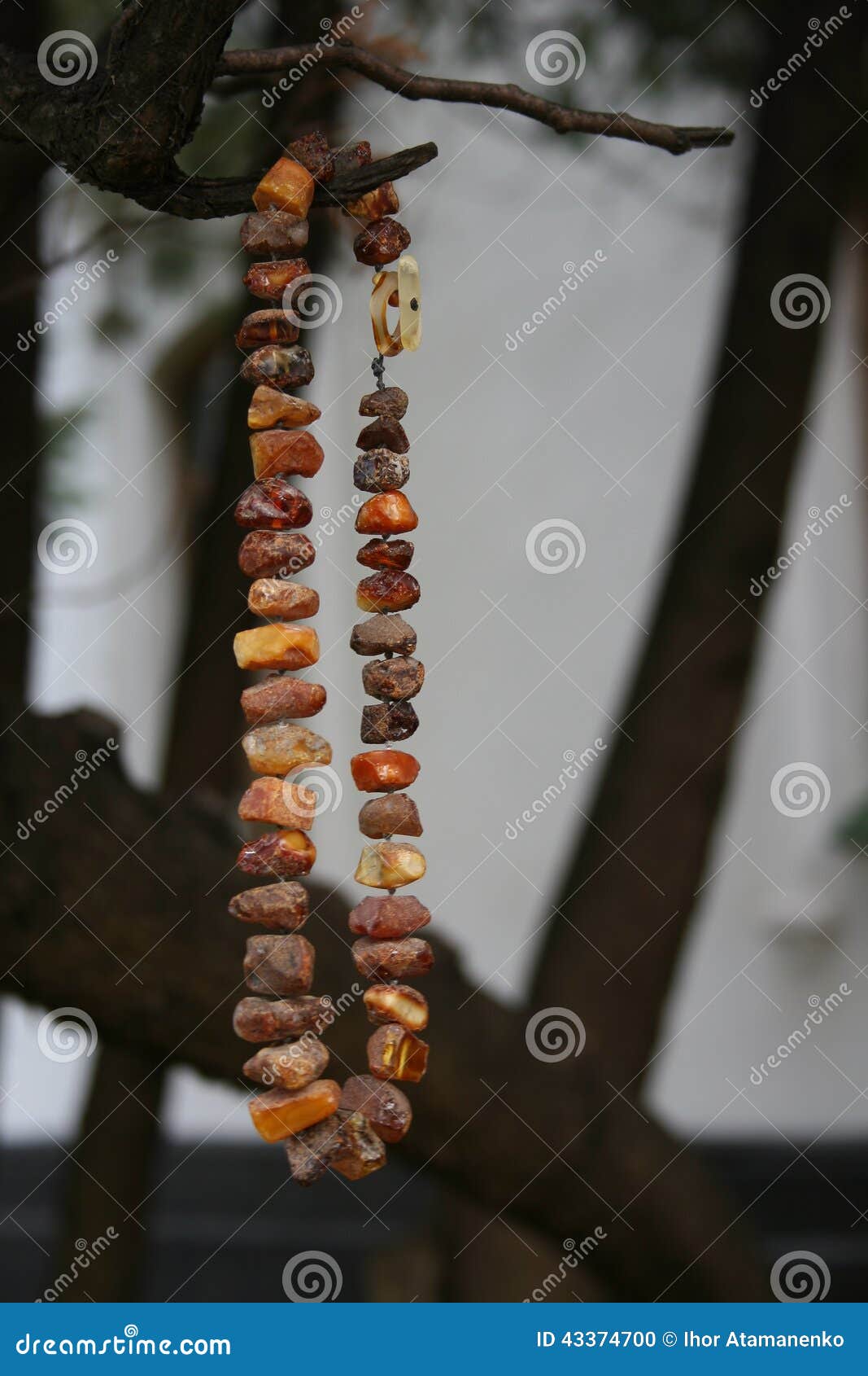 Amber stock photo. Image of jewelery, amber, tree, necklace - 43374700