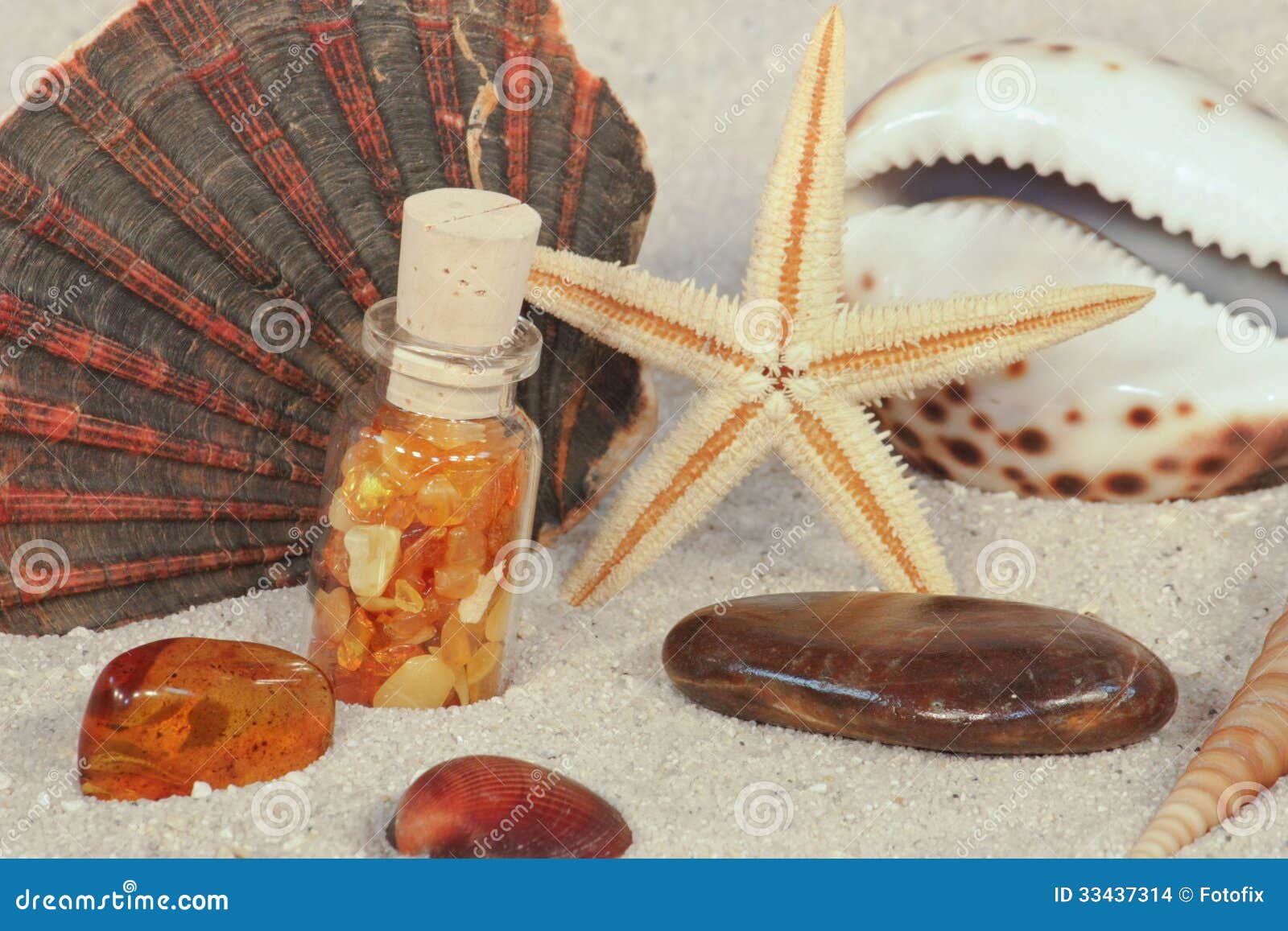 Amber and seashells stock photo. Image of amber, stones - 33437314