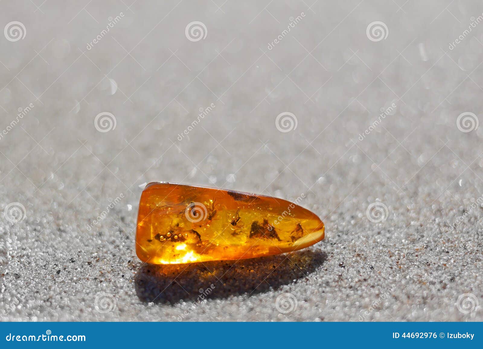 Amber Stone Insect Inclusion Sand Stock Photo - Image of background ...