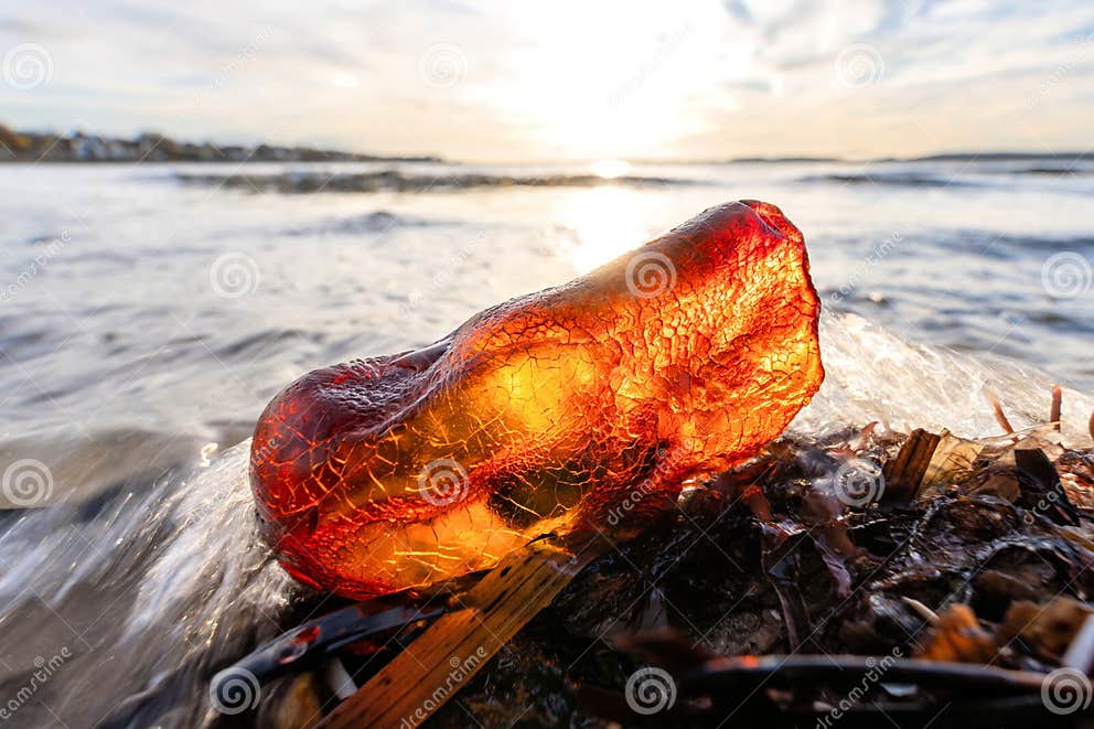 Amber at sunset stock image. Image of sunset, specimen - 350487641