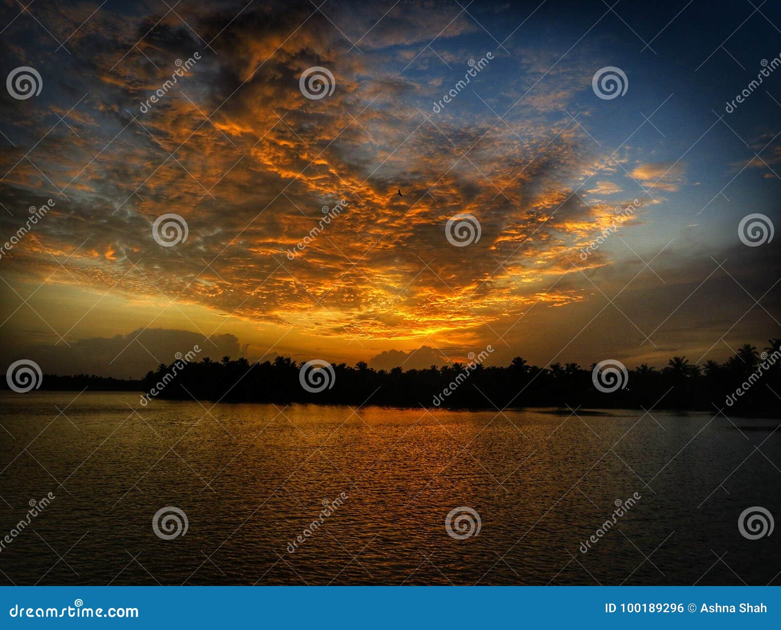 Amber sunset stock photo. Image of sunset, eyes, open - 100189296