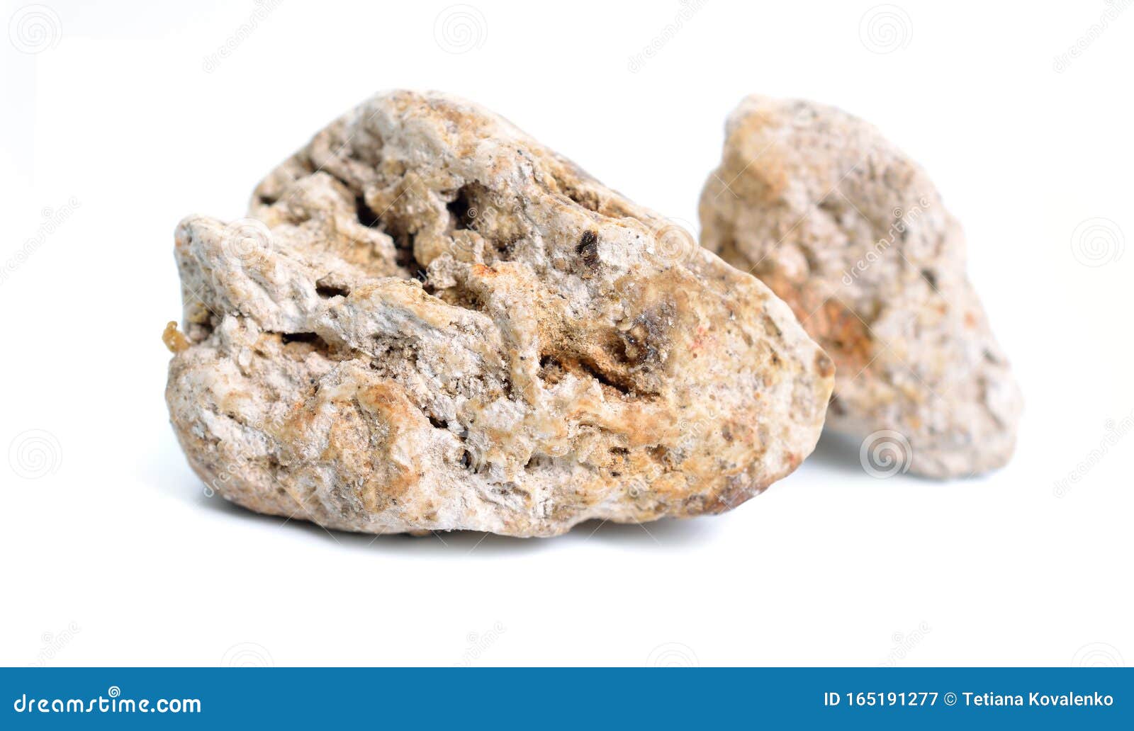 Sperm Whale Ambergris Stock Photos - Free & Royalty-Free Stock Photos ...