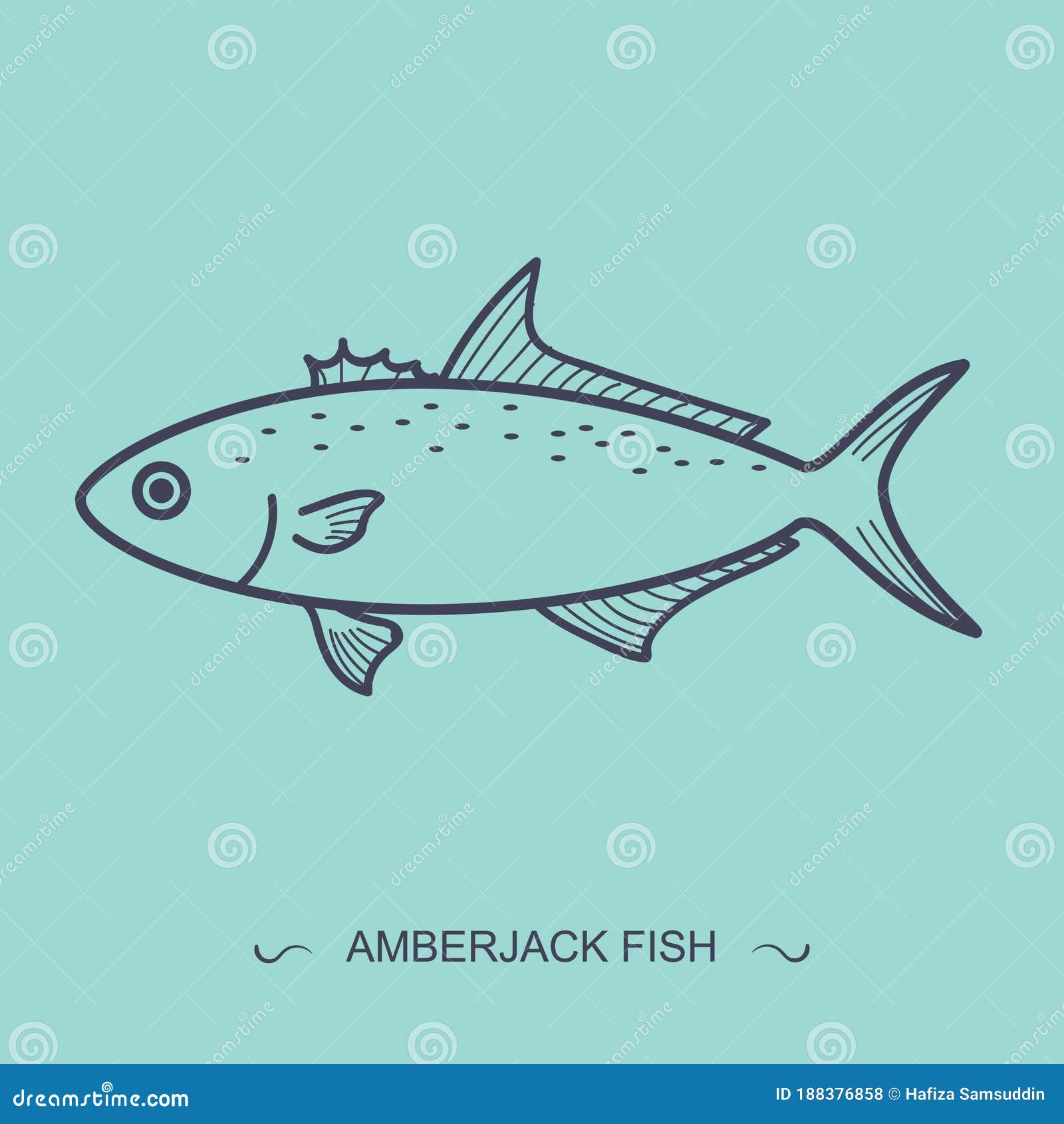Amberjack Fish. Vector Illustration Decorative Design Stock Vector ...