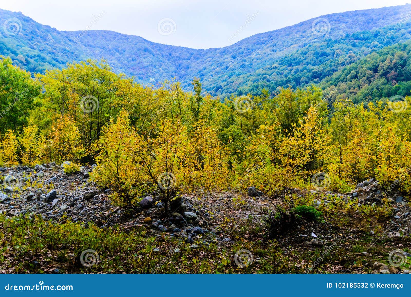 Ambiente Natural Del Paisaje Foto de archivo - Imagen de cubierta ...