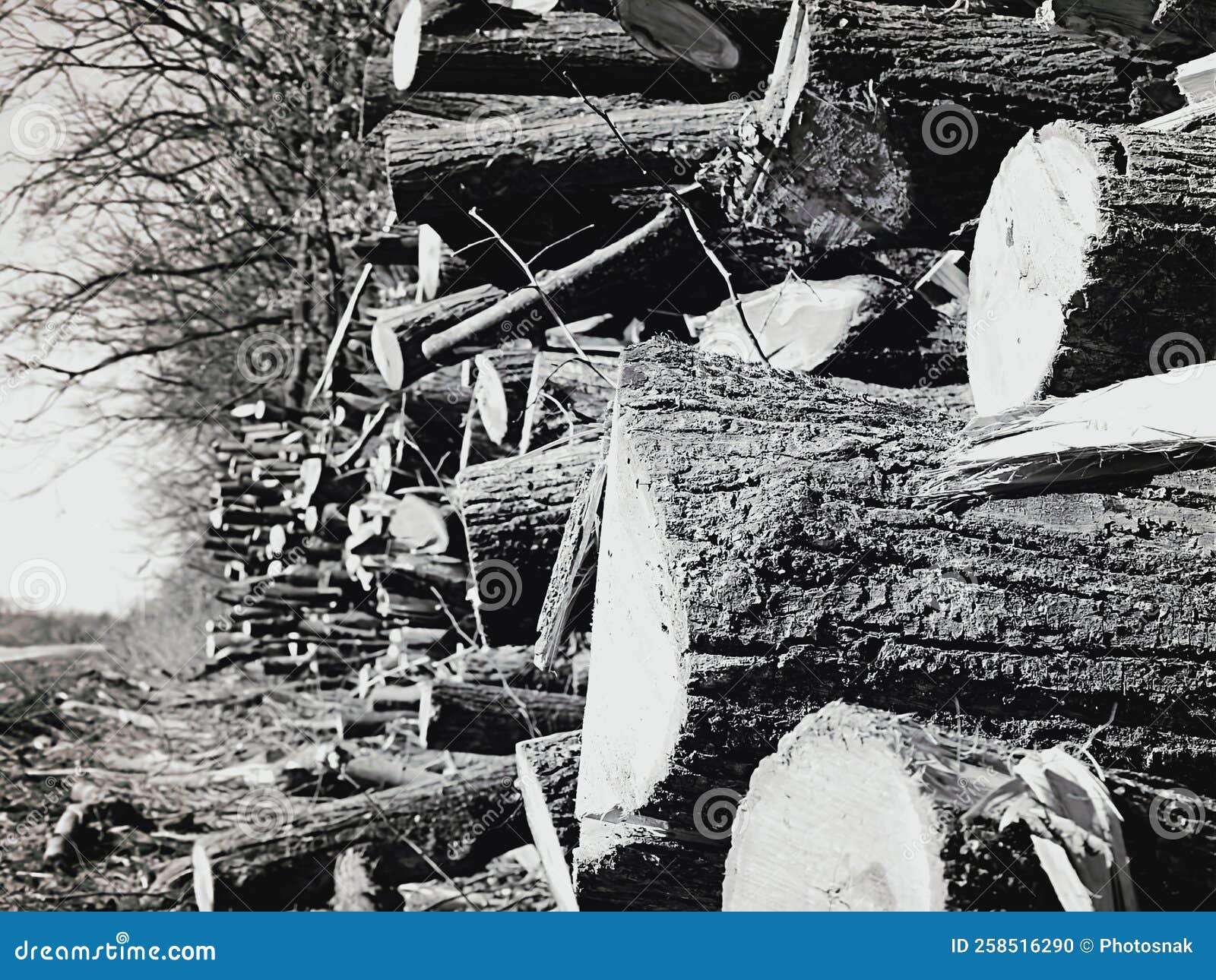 Ambiente oscuro y sosegado foto de archivo. Imagen de ambiente - 258516290