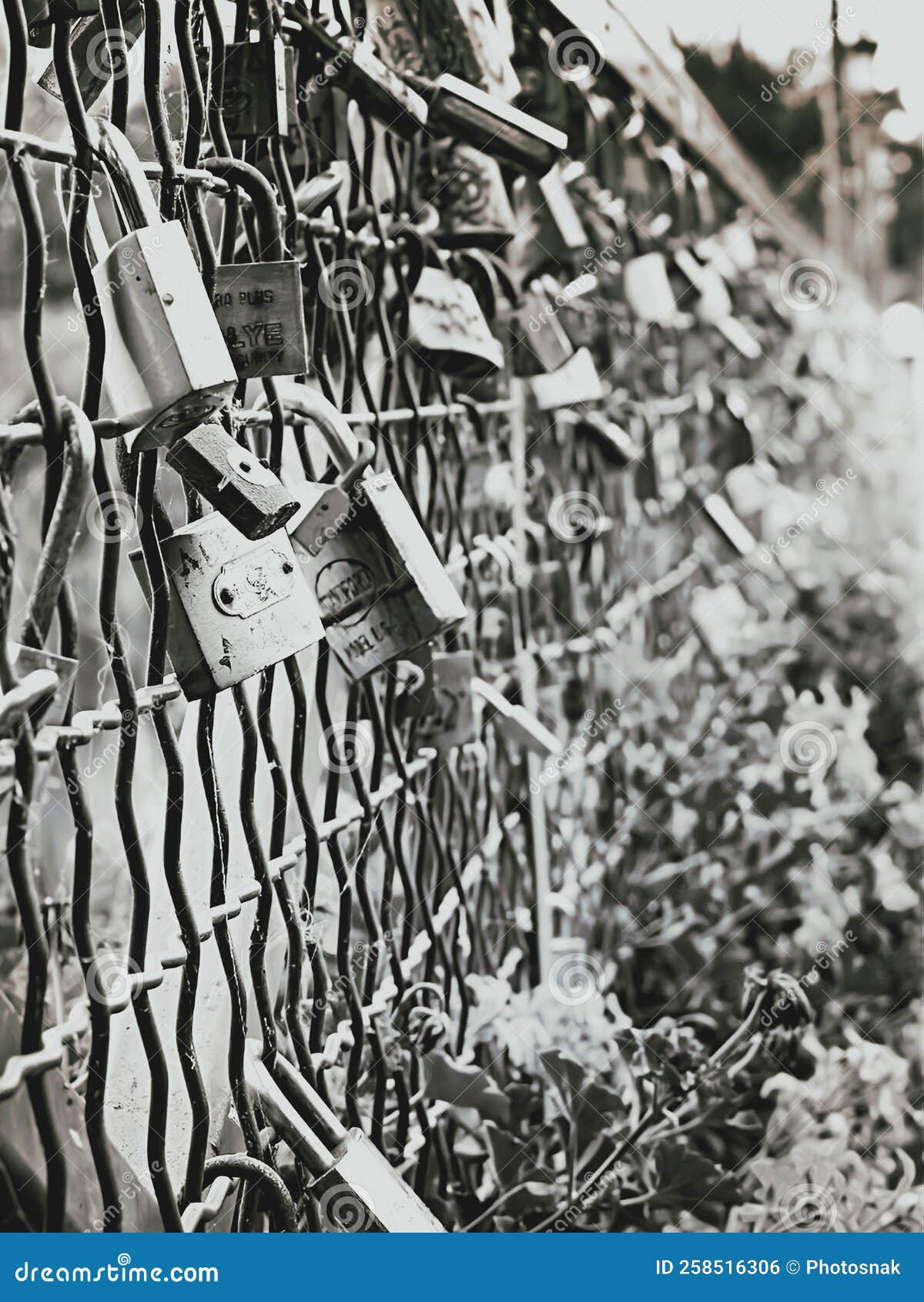 Ambiente oscuro y sosegado foto de archivo. Imagen de ramita - 258516306