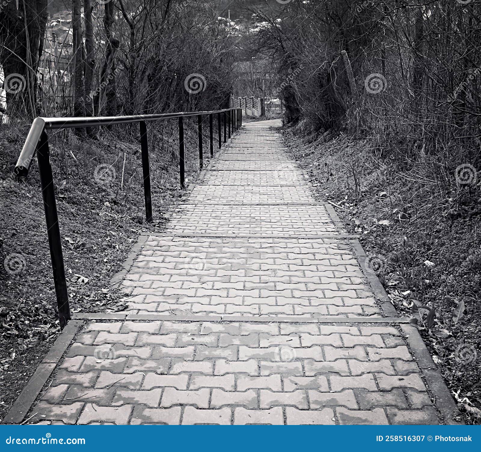 Ambiente oscuro y sosegado imagen de archivo. Imagen de cubo - 258516307