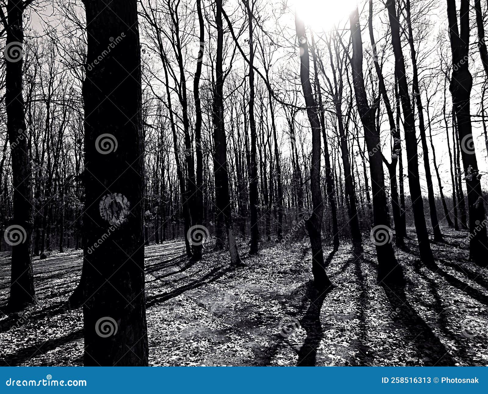 Ambiente oscuro y sosegado imagen de archivo. Imagen de cubo - 258516313