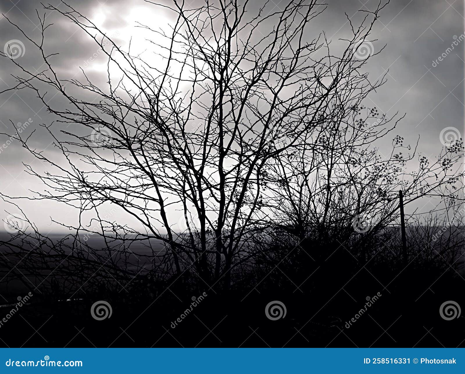 Ambiente oscuro y sosegado imagen de archivo. Imagen de cambiante ...