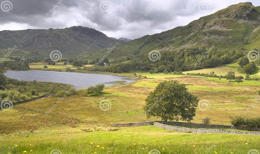 Ambleside stock photo. Image of peaceful, reflection, lake - 2996480