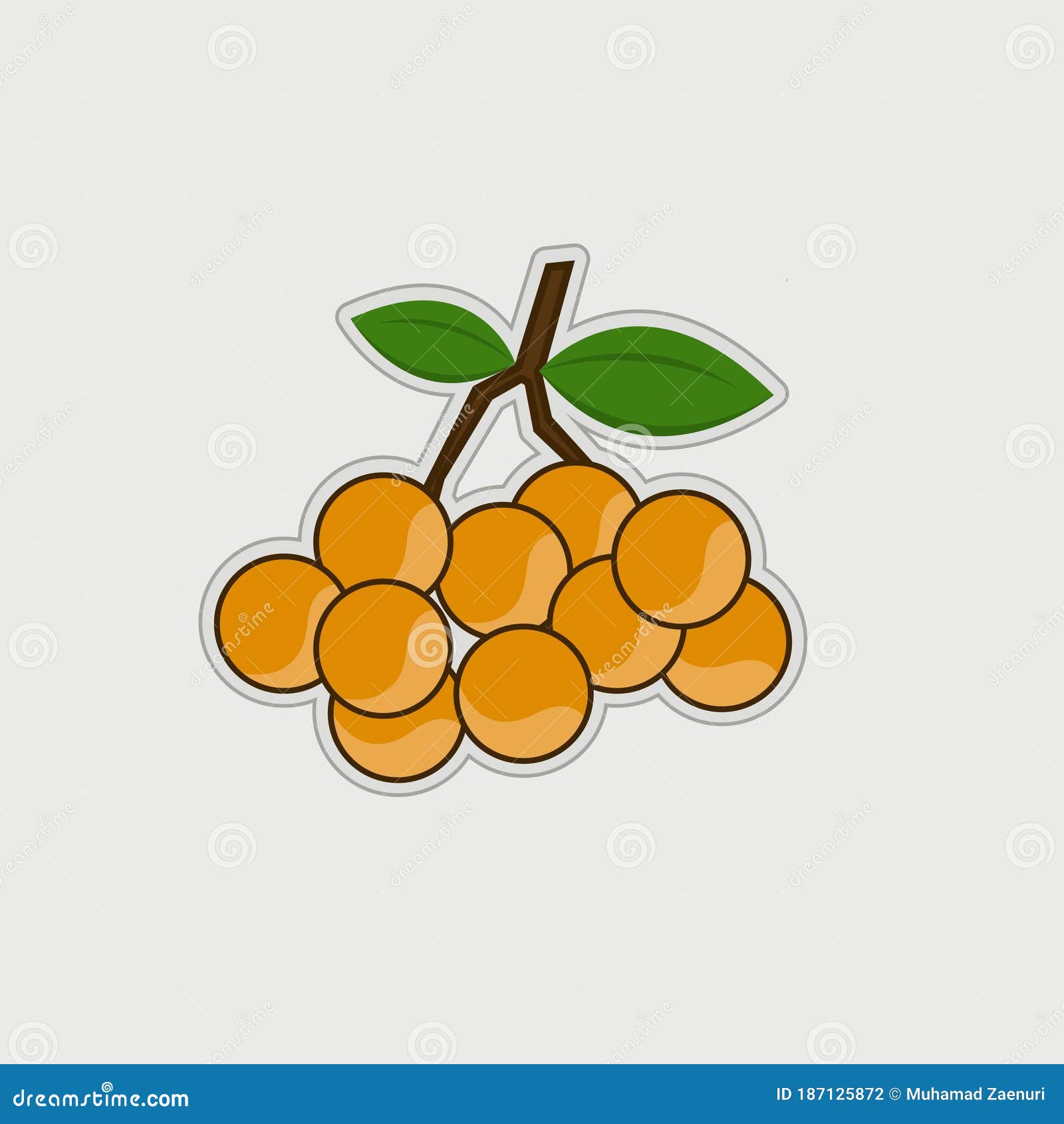 Longan Fruit Vector with Flat Style Stock Vector - Illustration of ...
