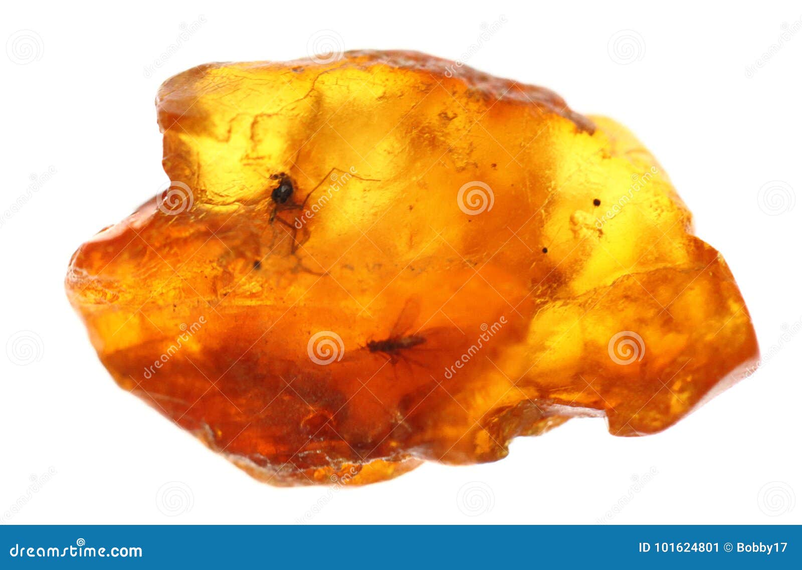 Ambra Con Gli Insetti Dentro Immagine Stock - Immagine di parte, antico ...