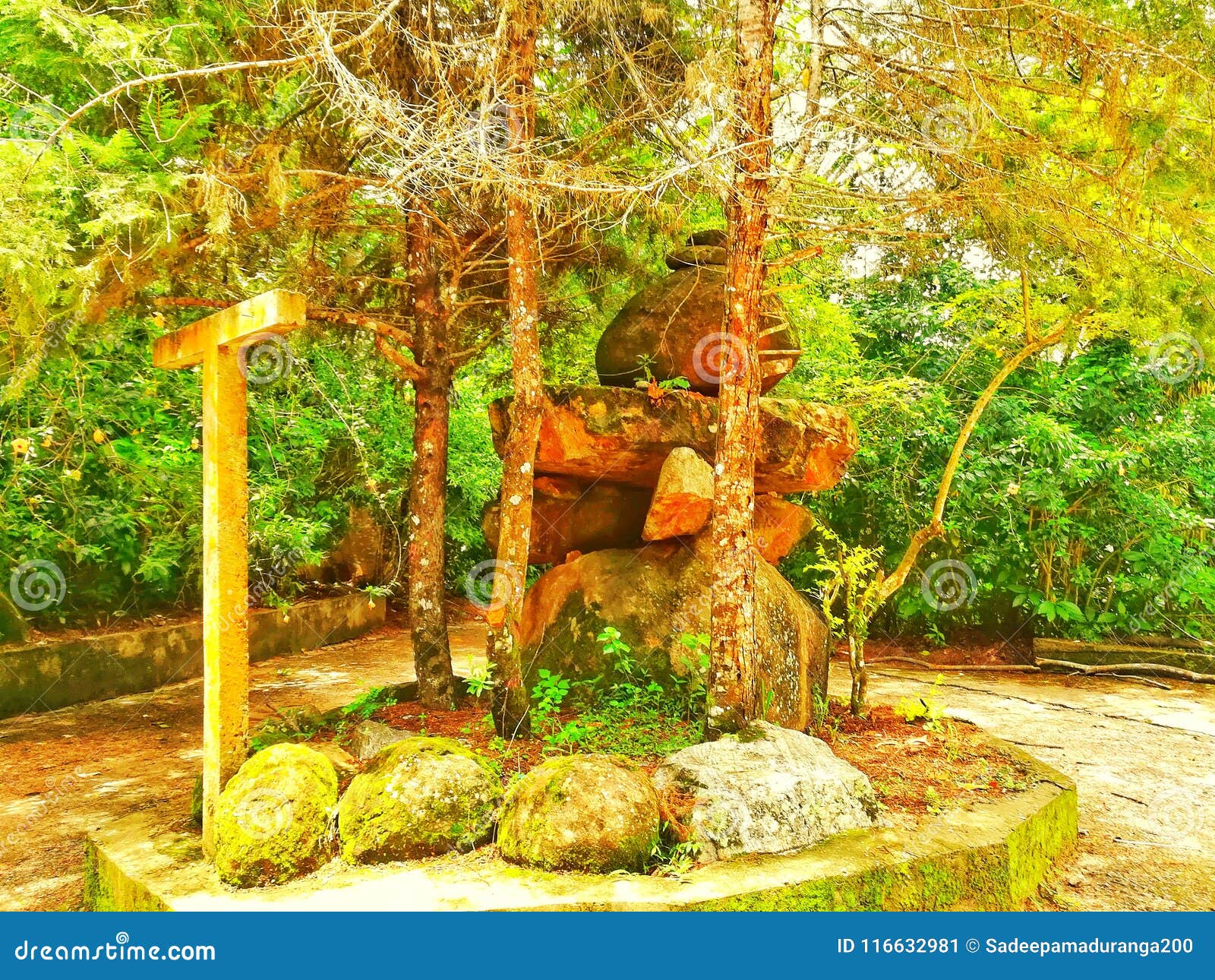 Ambulugala stock afbeelding. Afbeelding bestaande uit nave - 116632981