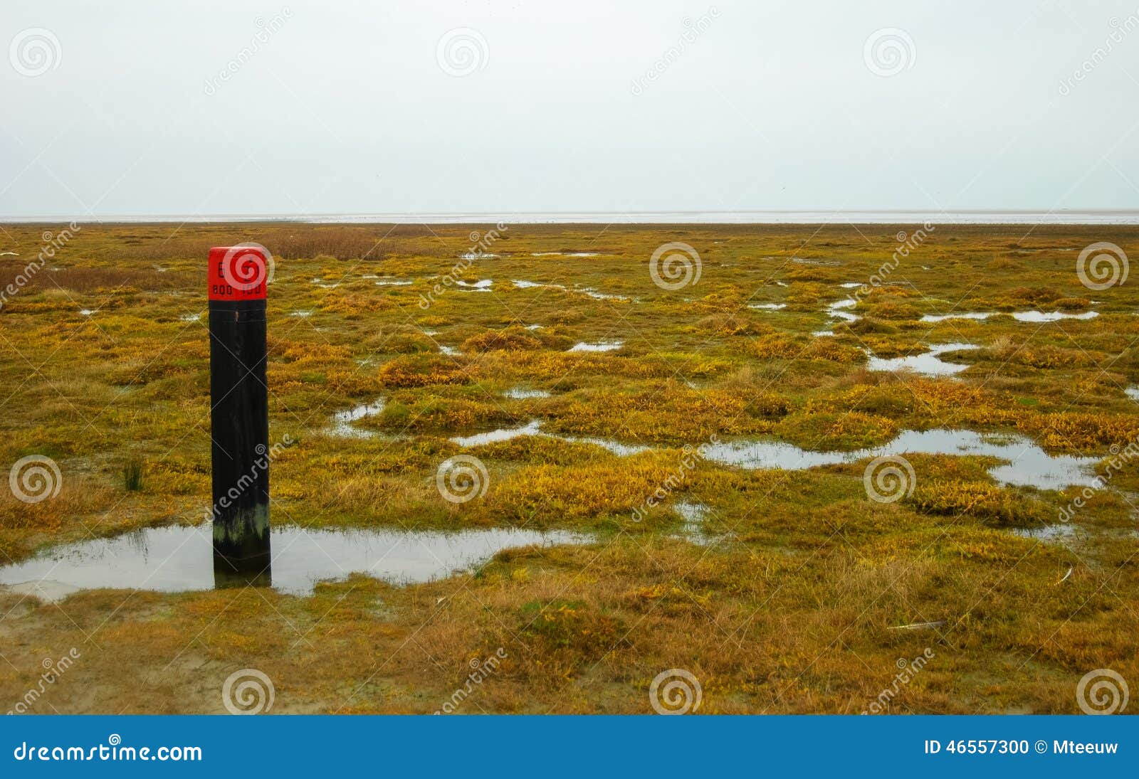 Ameland island netherlands stock photo. Image of island - 46557300