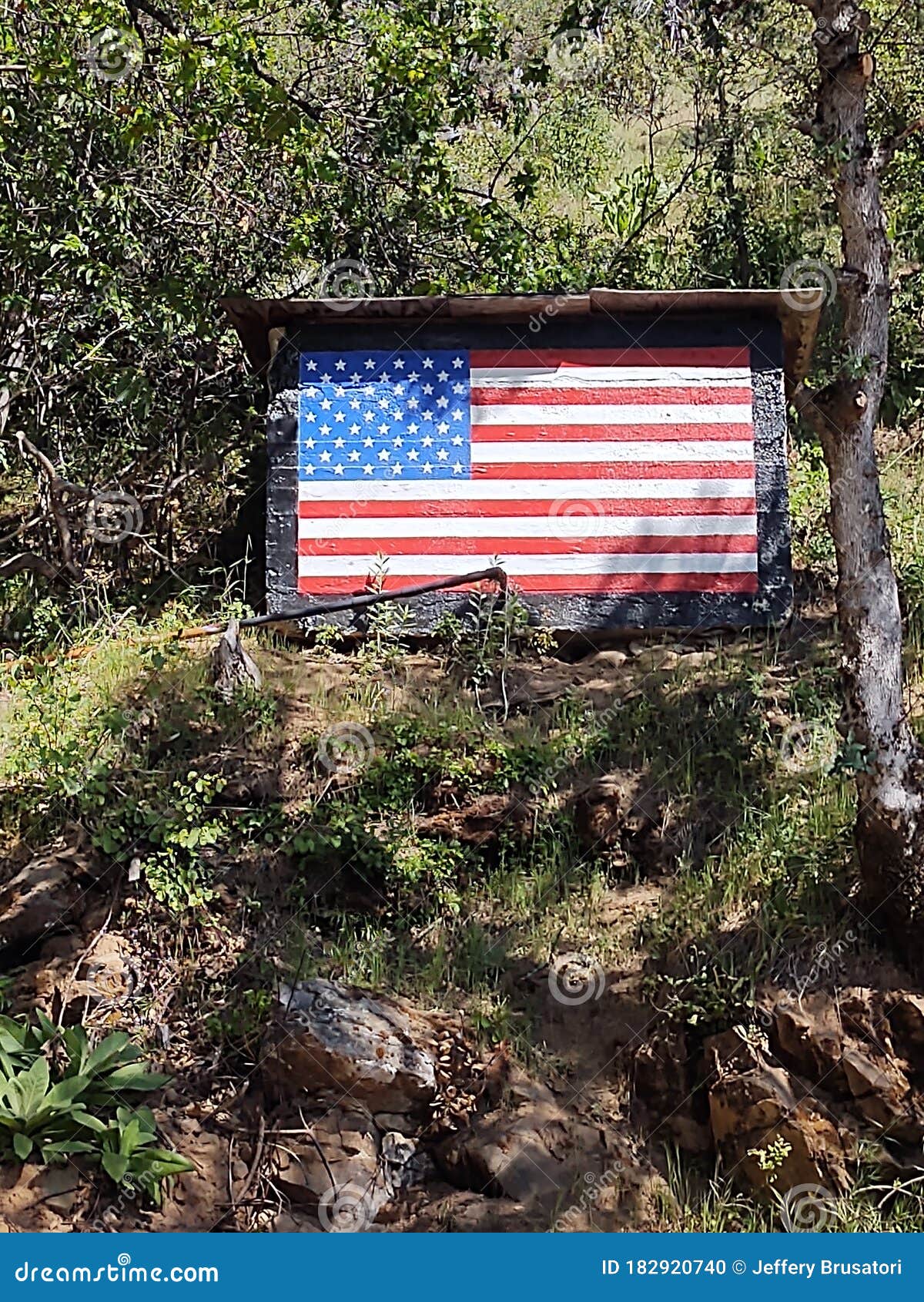 America is great stock photo. Image of bush, veterans - 182920740