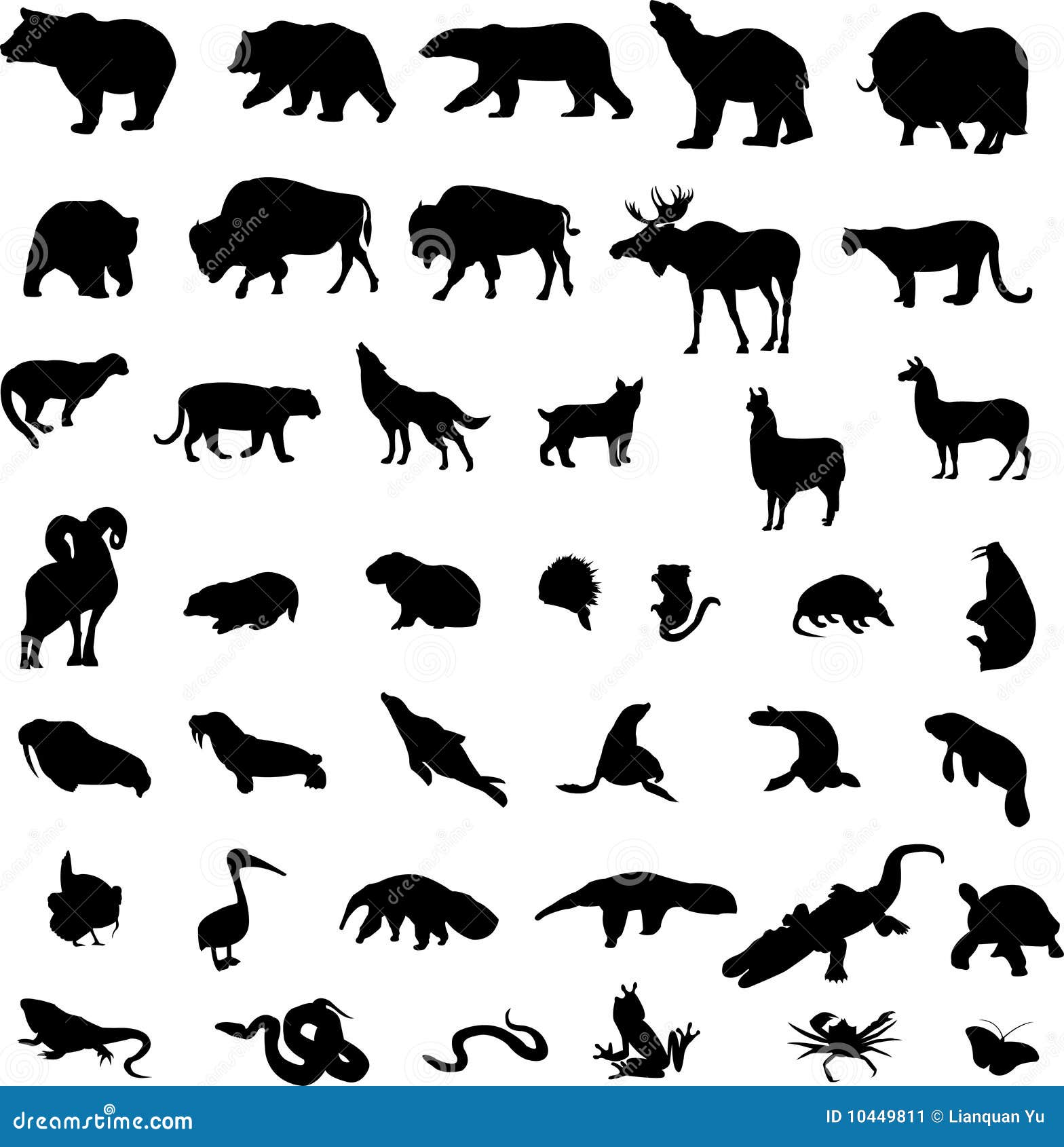 American animals stock vector. Illustration of manatee - 10449811