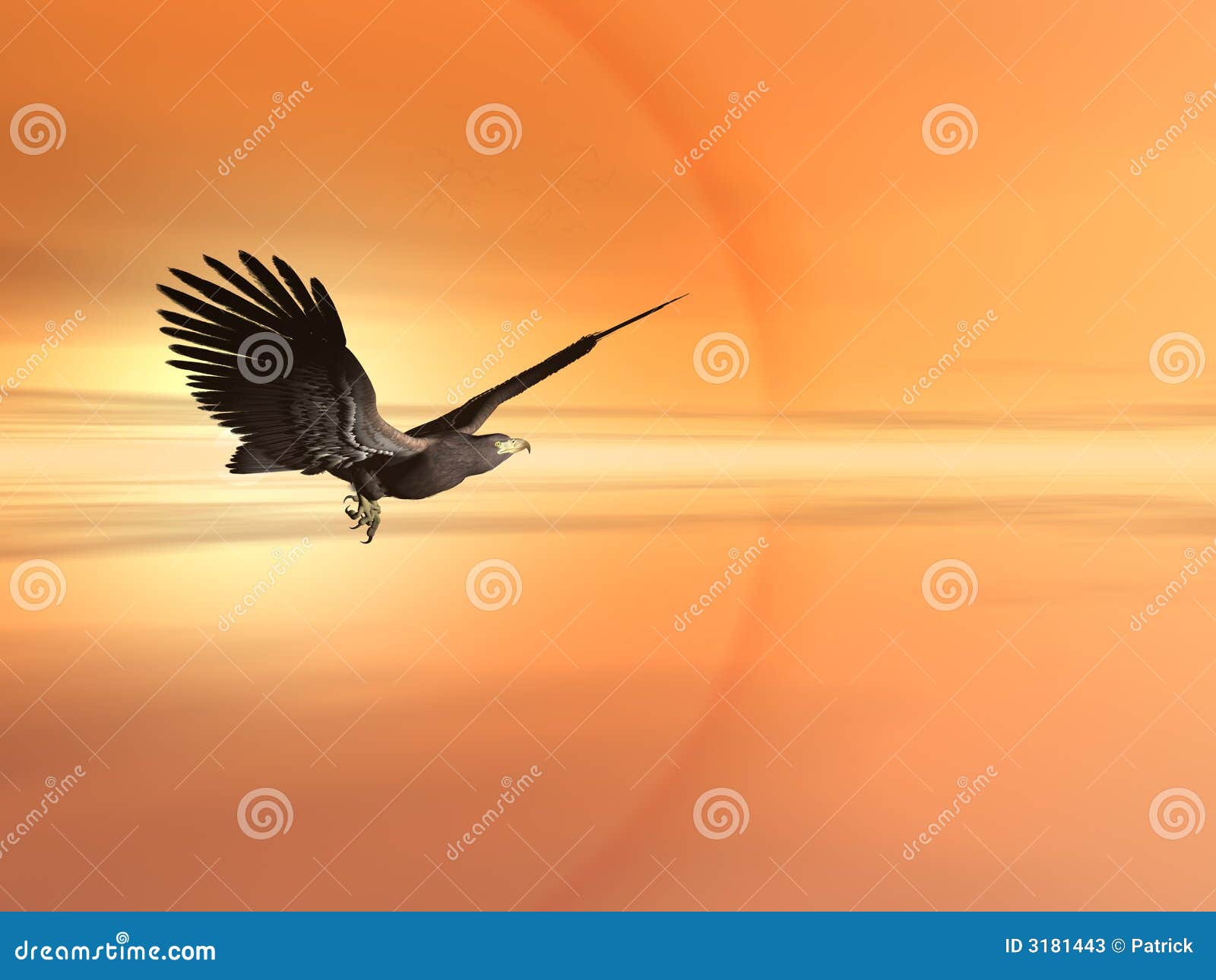 Bald Eagle Flying High Stock Illustrations – 73 Bald Eagle Flying High ...