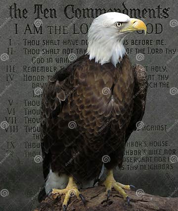 American Bald Eagle Ten Commandments Stock Image - Image of bird ...