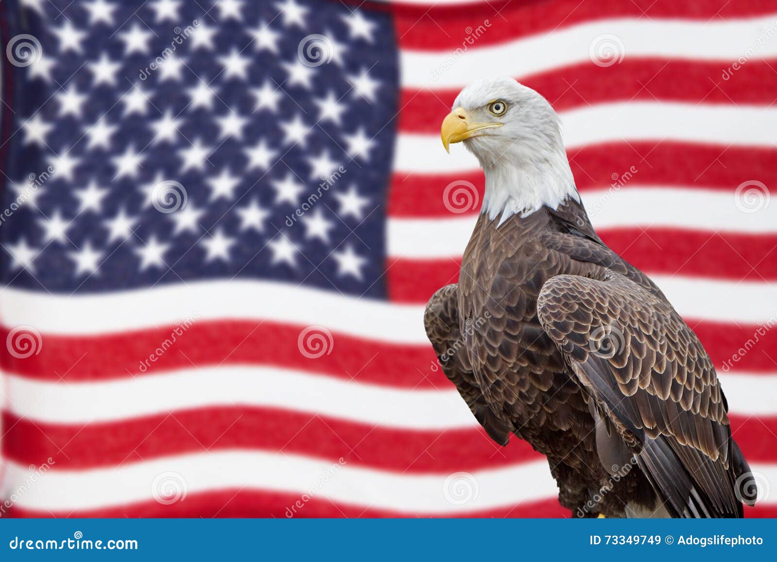 American Flag Waving Eagle