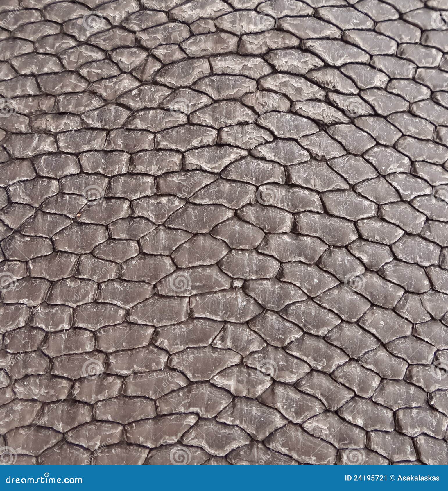 American Beaver Tail Detail Stock Image - Image: 24195721