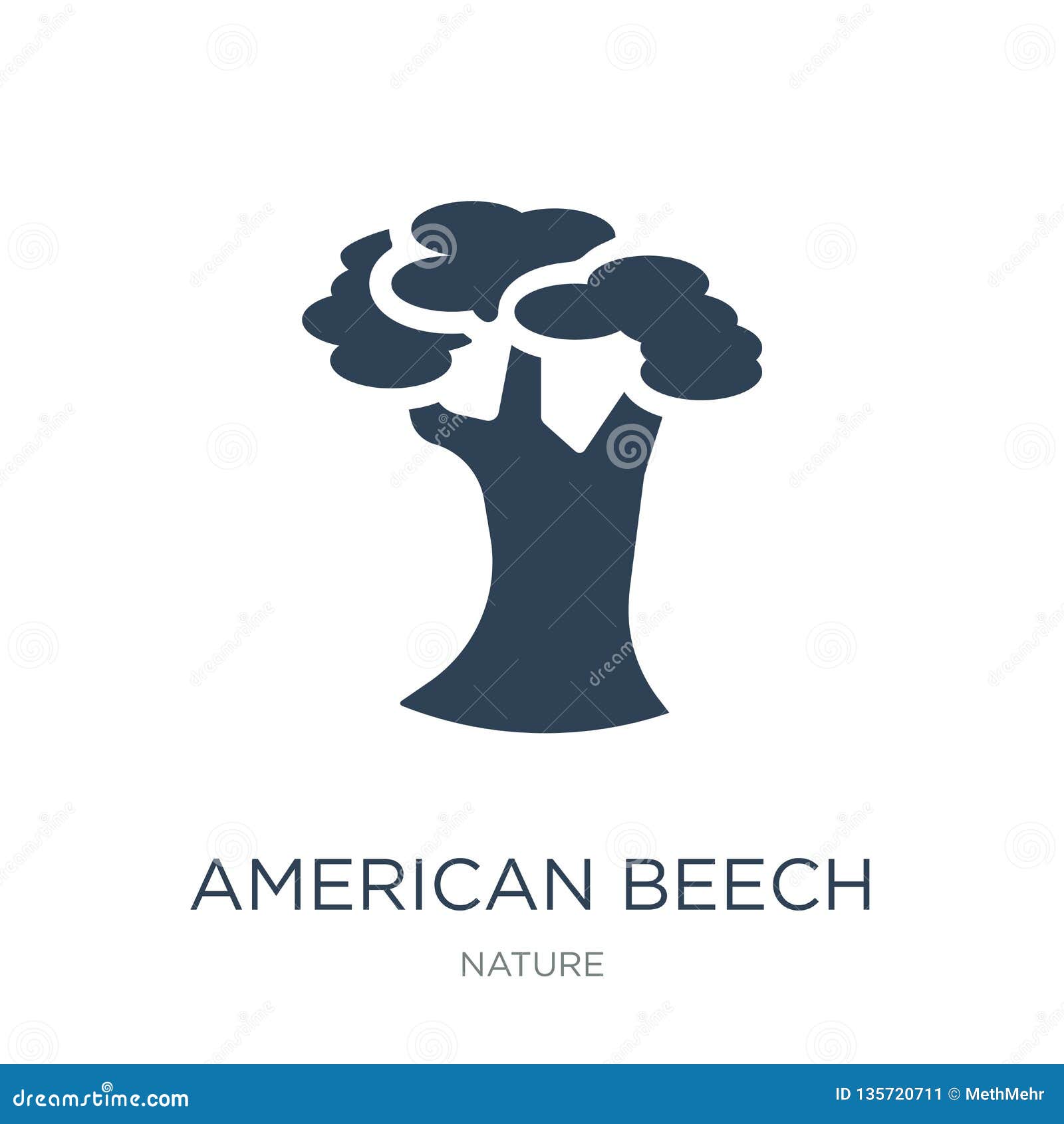 American Beech Tree Icon in Trendy Design Style. American Beech Tree ...